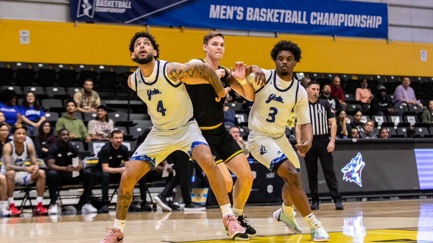Robby Robinson - Men's Basketball - California State University of San ...