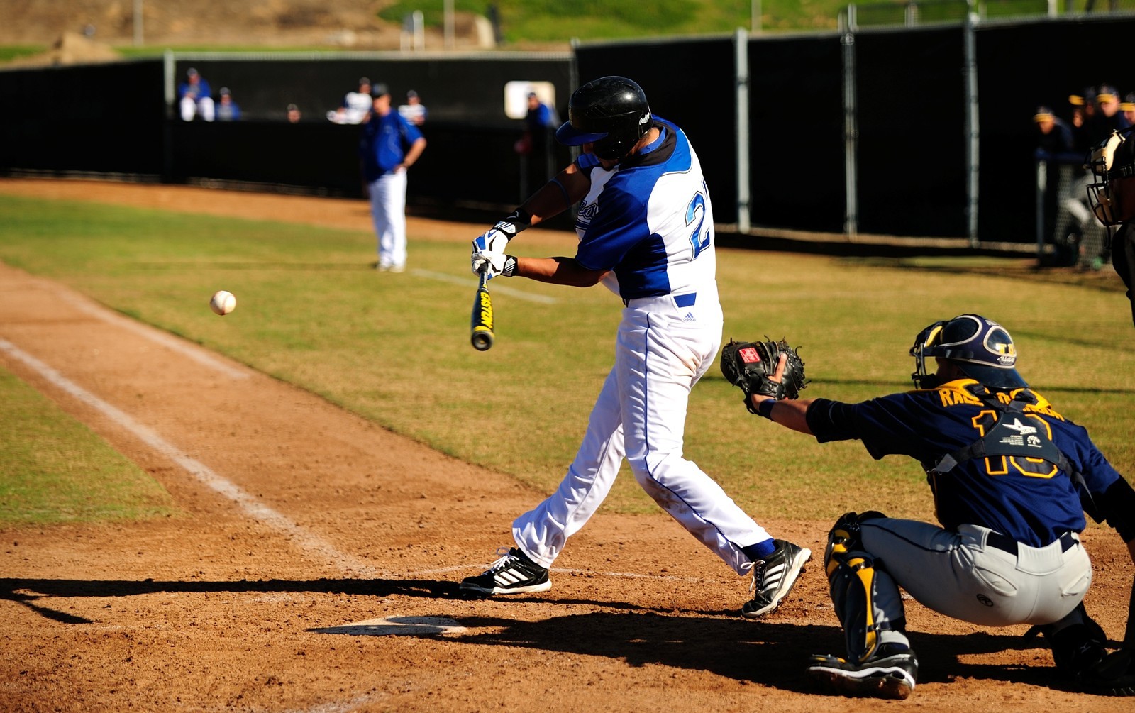 Adam Tapia - 2014 - Baseball - Cal State San Marcos Athletics