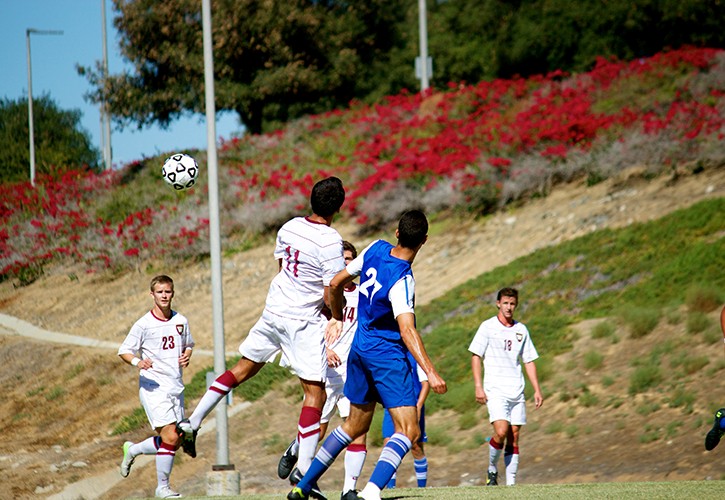 Luka Stevanovic - 2015 - Men's Soccer - Cal State San Marcos Athletics