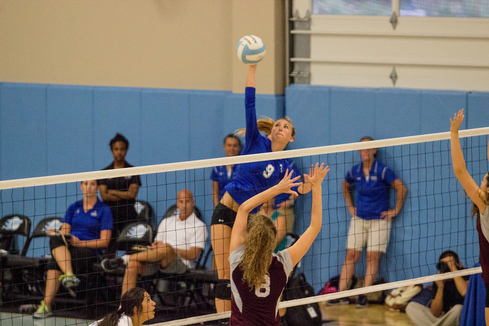 Alyssa Hubbard - 2014 - Volleyball - Cal State San Marcos Athletics