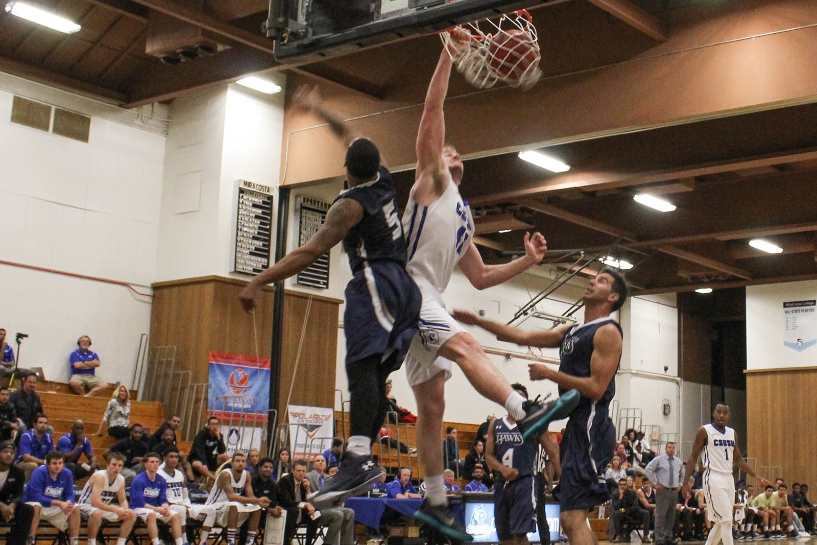 Declan Daly - 2015-16 - Men's Basketball - Cal State San Marcos Athletics