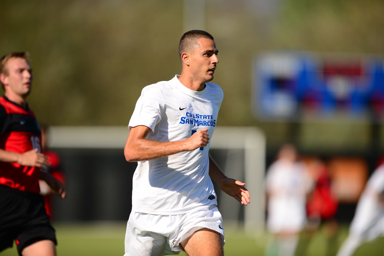 Luka Stevanovic - 2015 - Men's Soccer - Cal State San Marcos Athletics