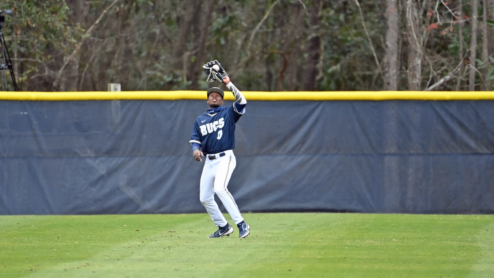 Tyrell Brewer - 2023 - Baseball - Charleston Southern University