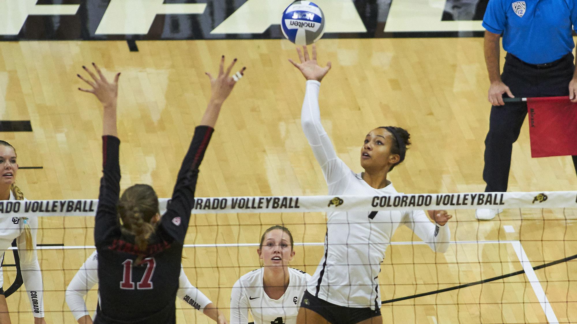 Frankie Shebby - Volleyball - University of Colorado Athletics