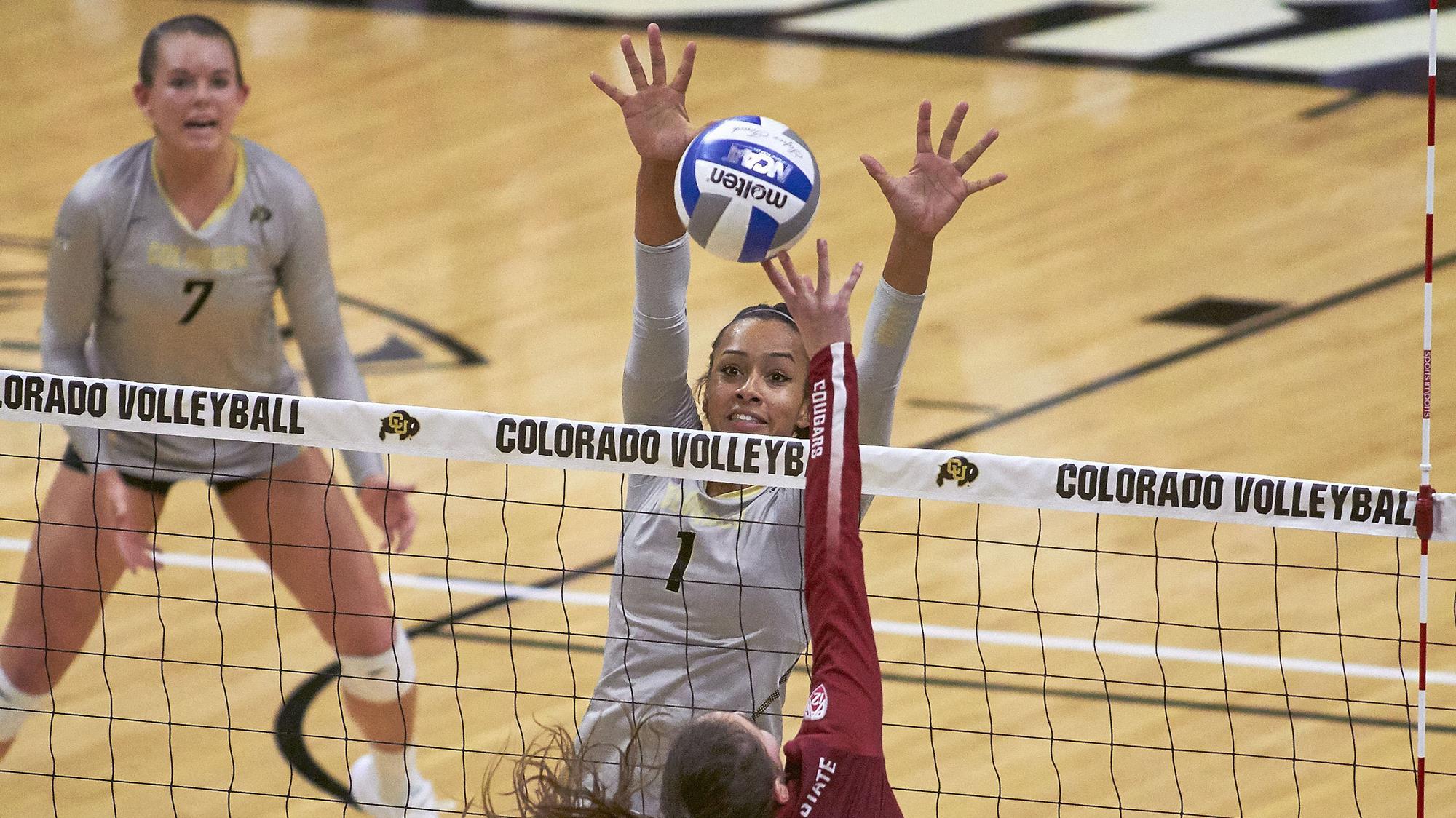 Frankie Shebby - Volleyball - University of Colorado Athletics