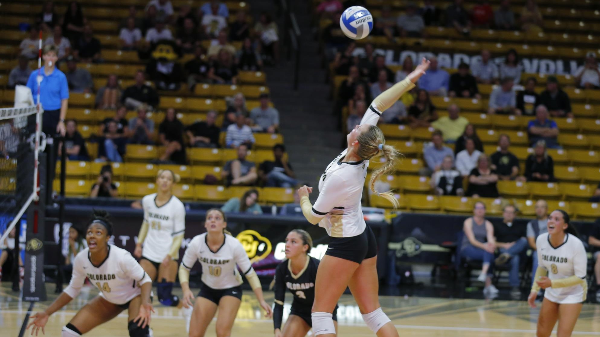 Alexa Smith - Volleyball - University of Colorado Athletics