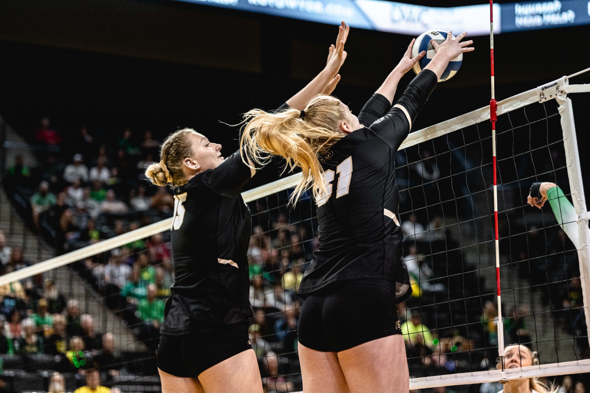 Taylor Simpson - Volleyball - University of Colorado Athletics