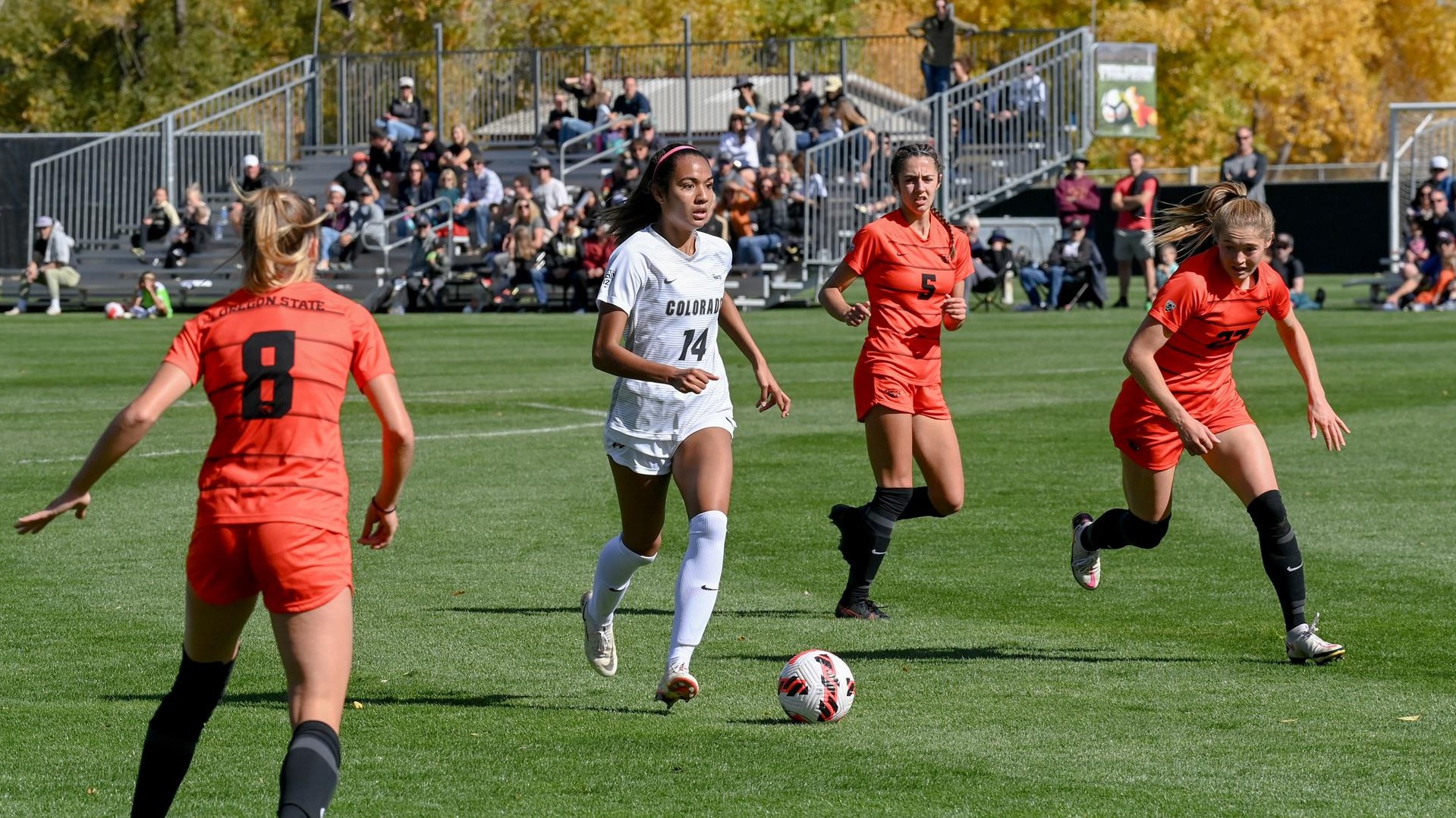 Phoenix Dawn Miranda - Soccer - University of Colorado Athletics