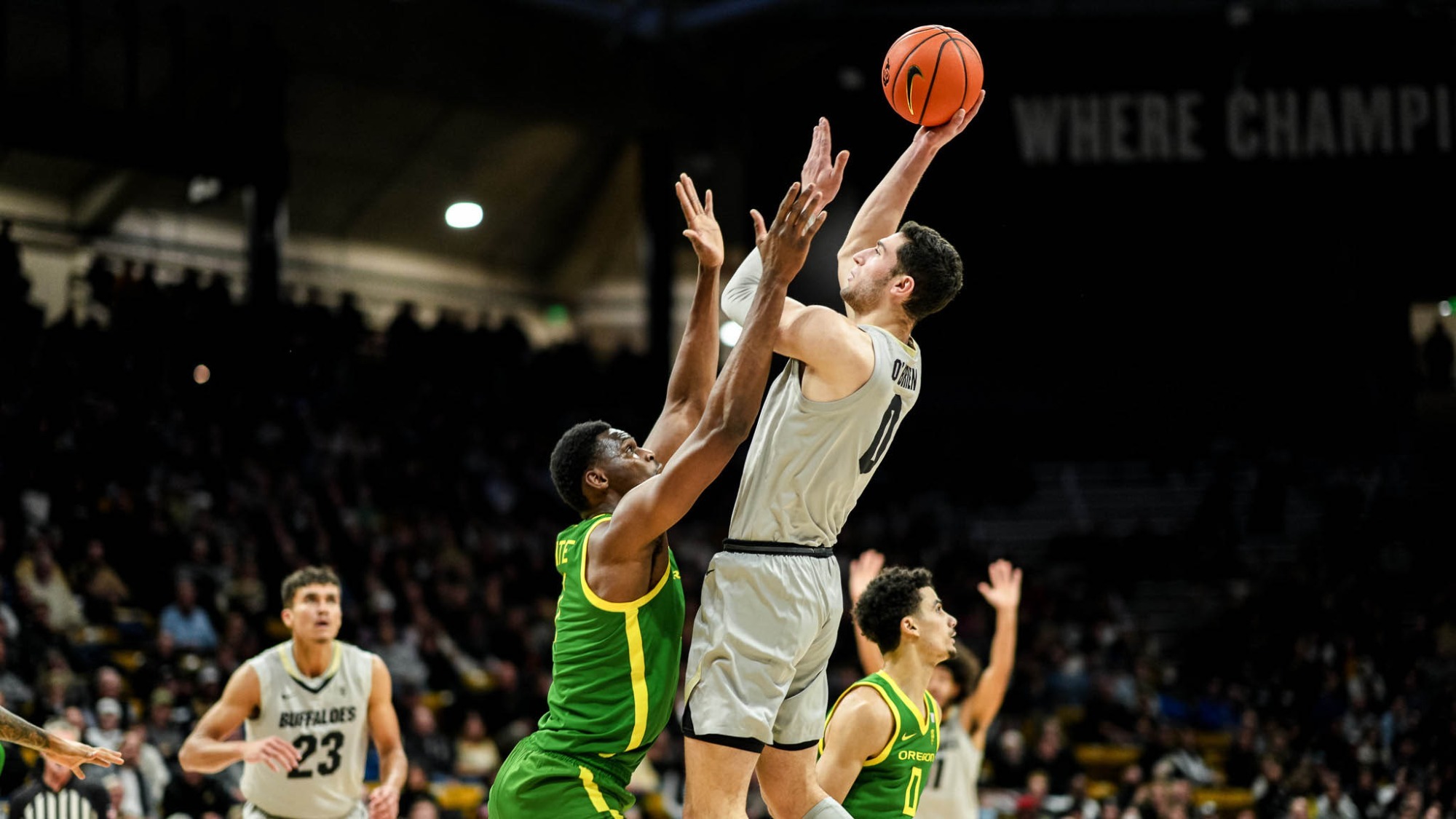 Luke O'Brien - Men's Basketball - University of Colorado Athletics