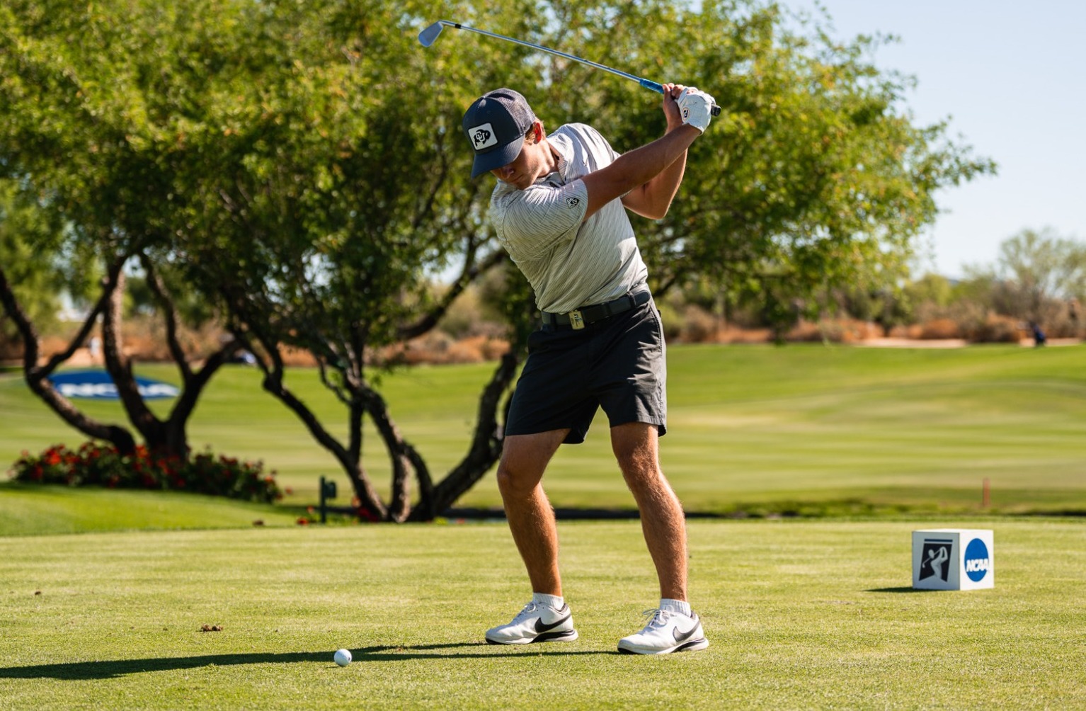 Dylan McDermott - Men's Golf - University of Colorado Athletics