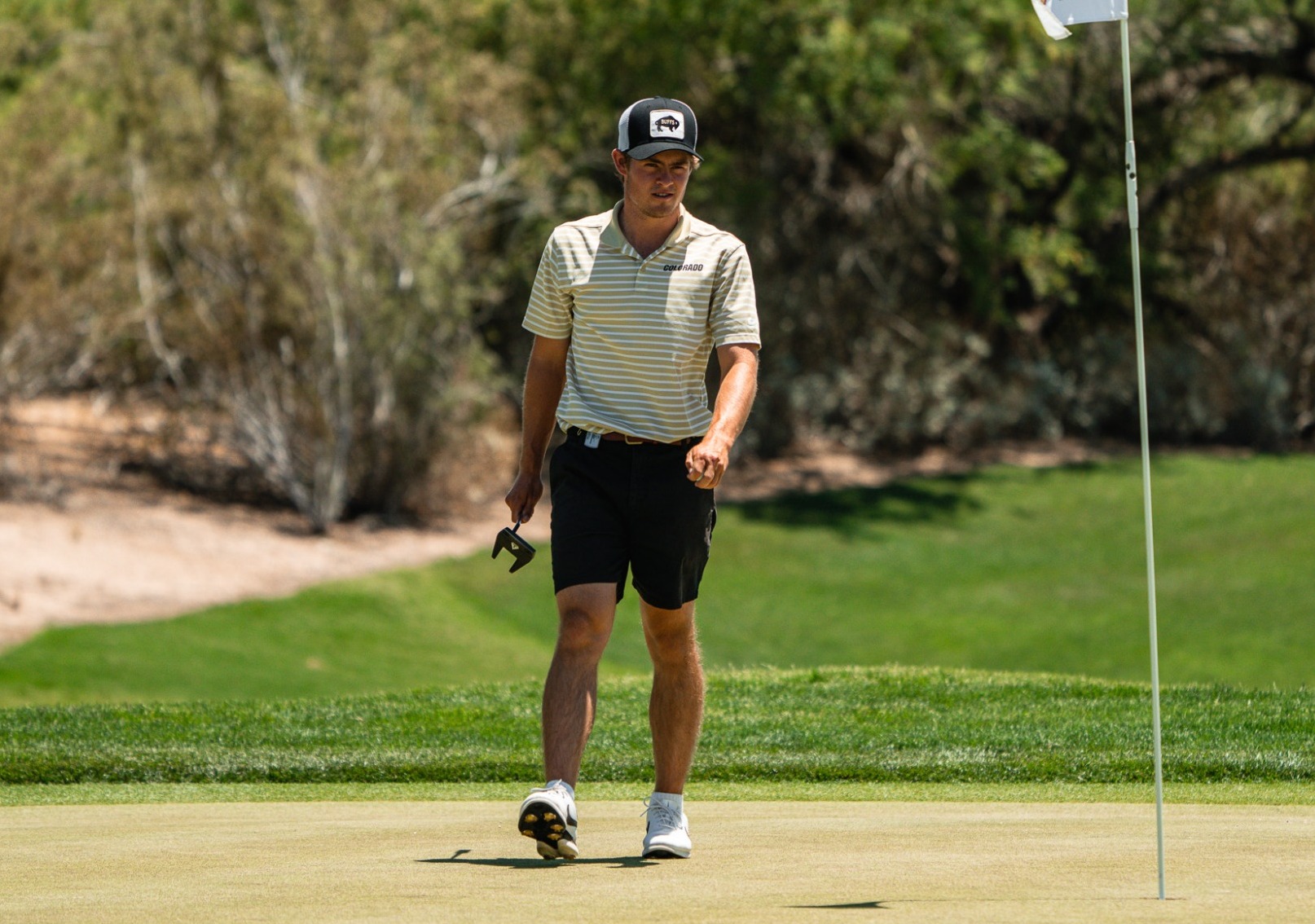 Dylan McDermott - Men's Golf - University of Colorado Athletics