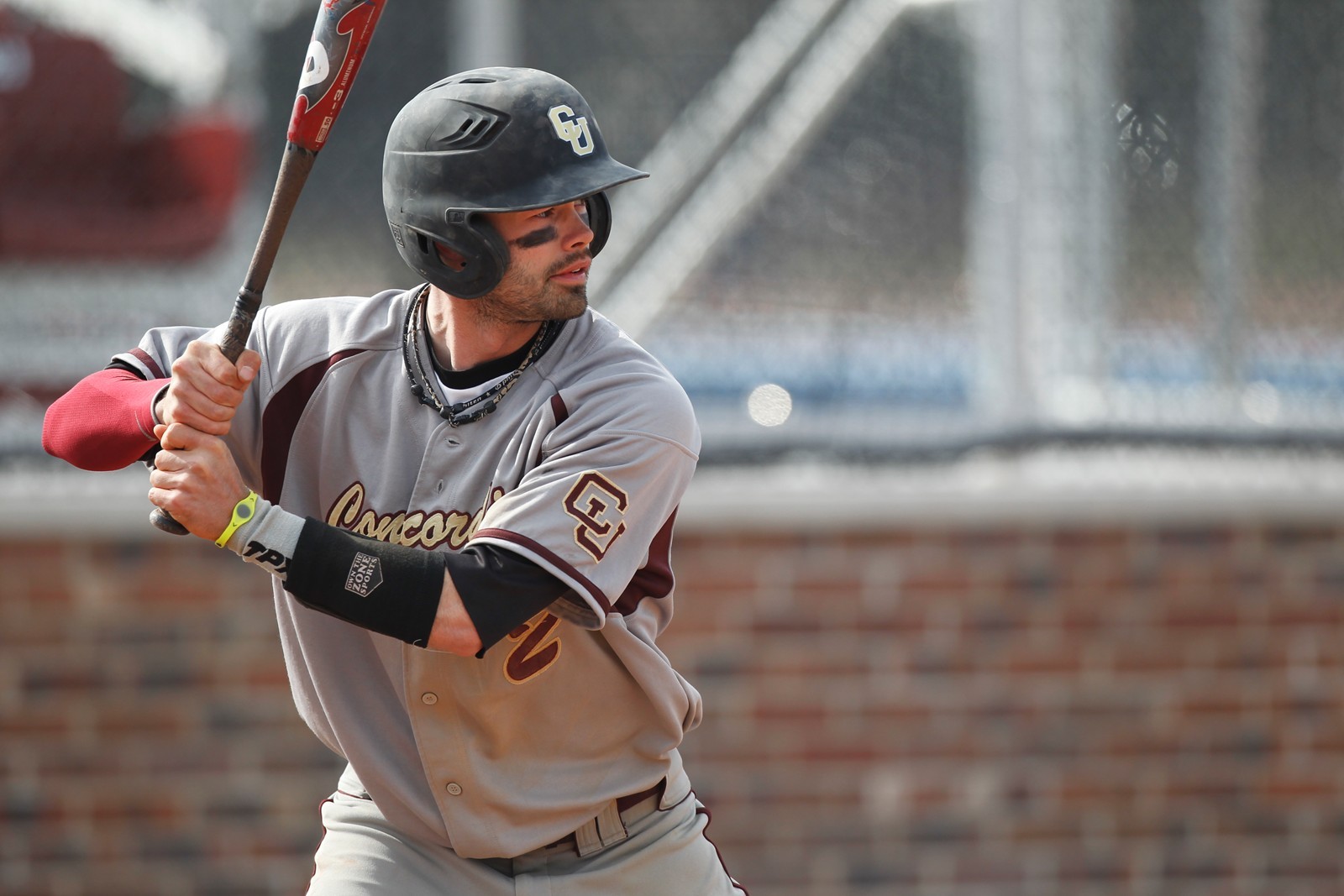 Joe Moran - Baseball - Concordia University Chicago Athletics