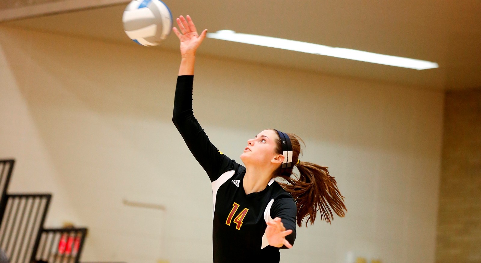 Kaylyn Anderson - Women's Volleyball - Concordia University Chicago ...