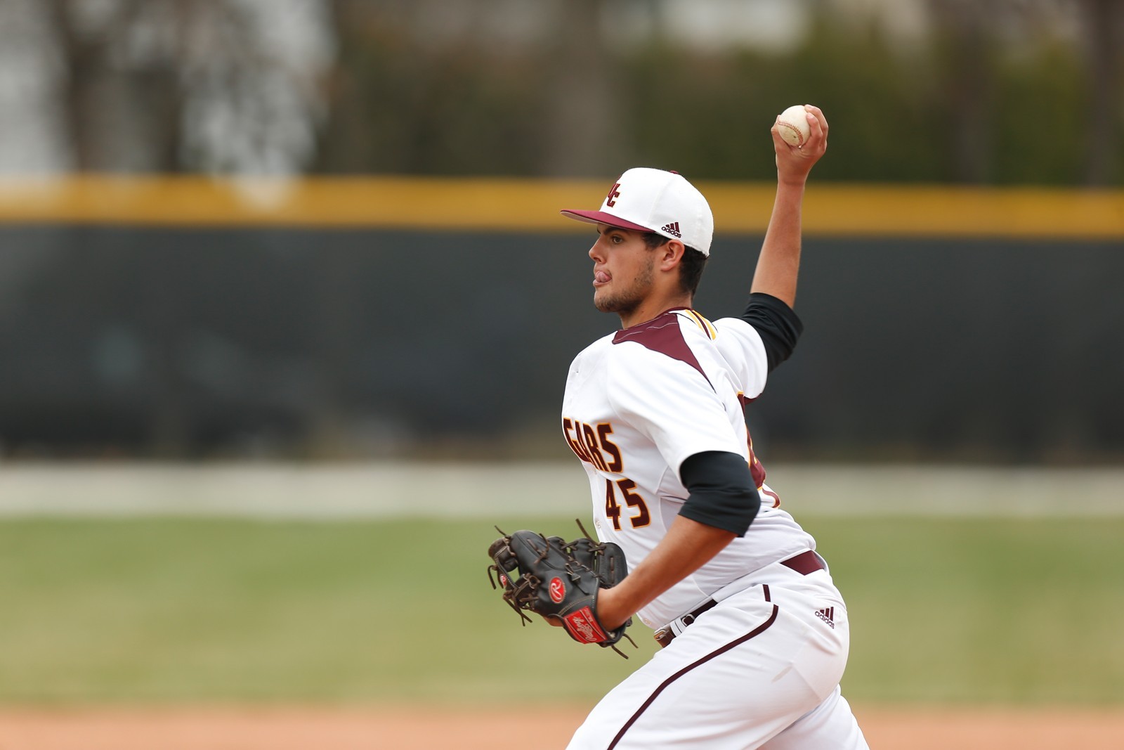 Mike Formella - Baseball - Concordia University Chicago Athletics