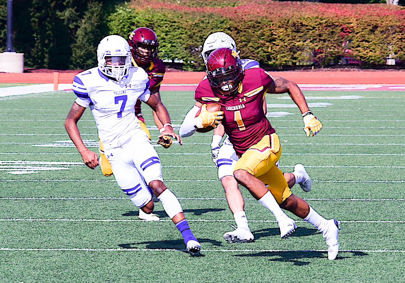 Ryan Allison - Football - Concordia University Chicago Athletics