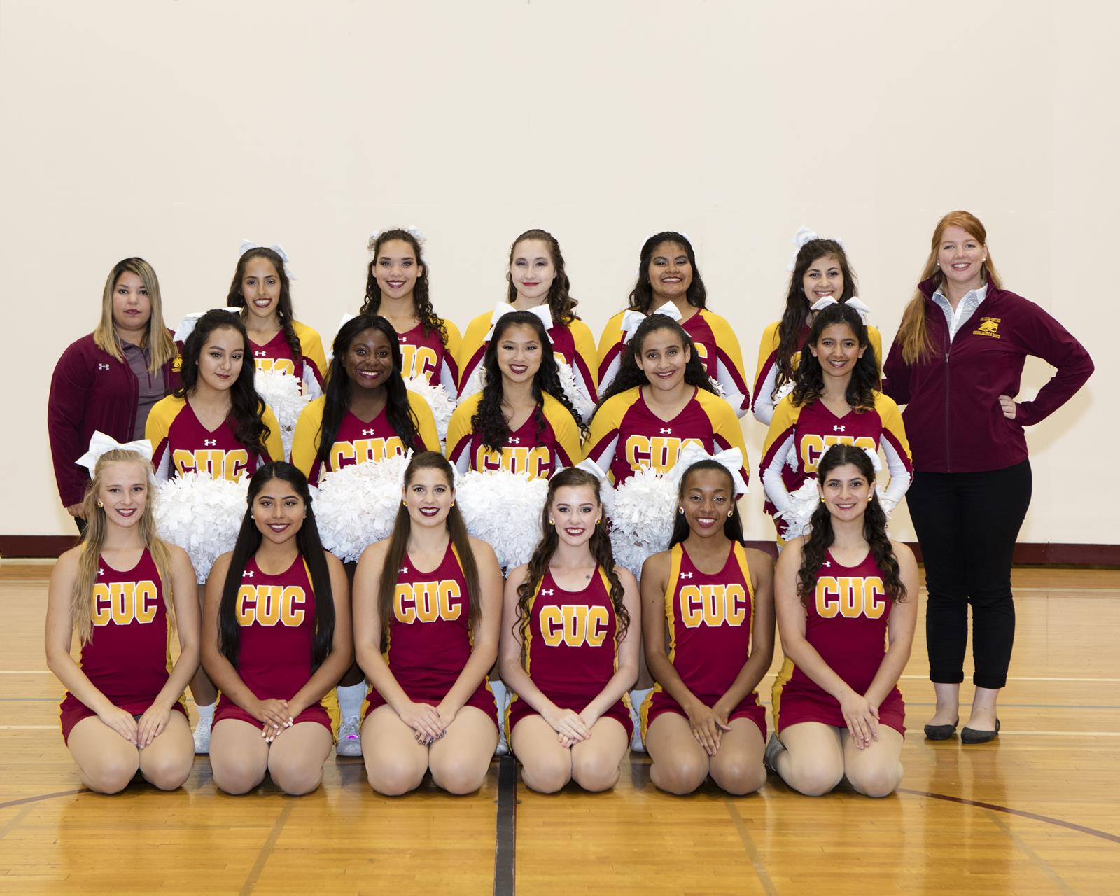 Eight Dazzlers Honored by CUC as Scholar-Athletes - Concordia ...