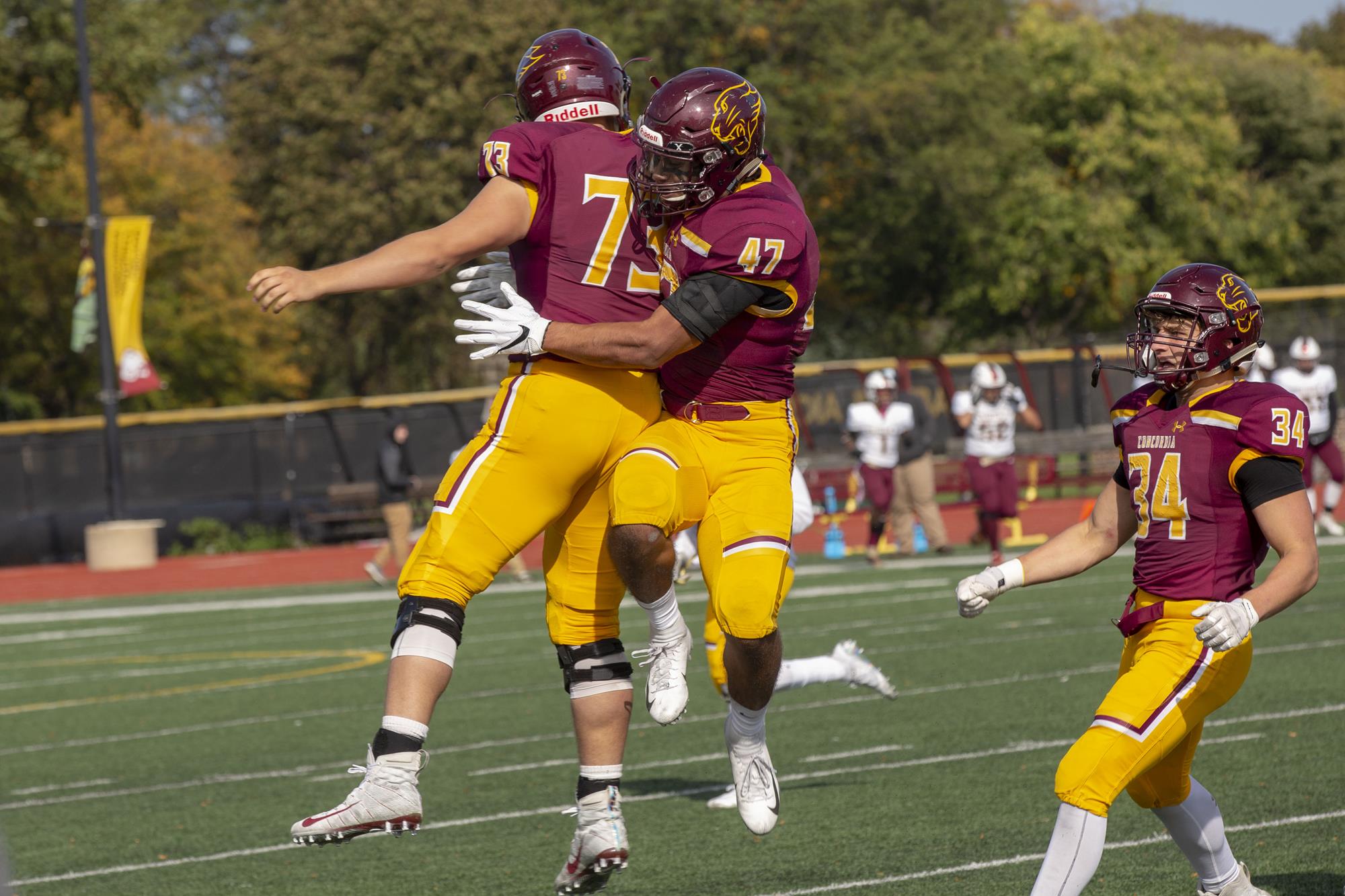 CUC Football Releases 2019 Schedule - Concordia University Chicago ...