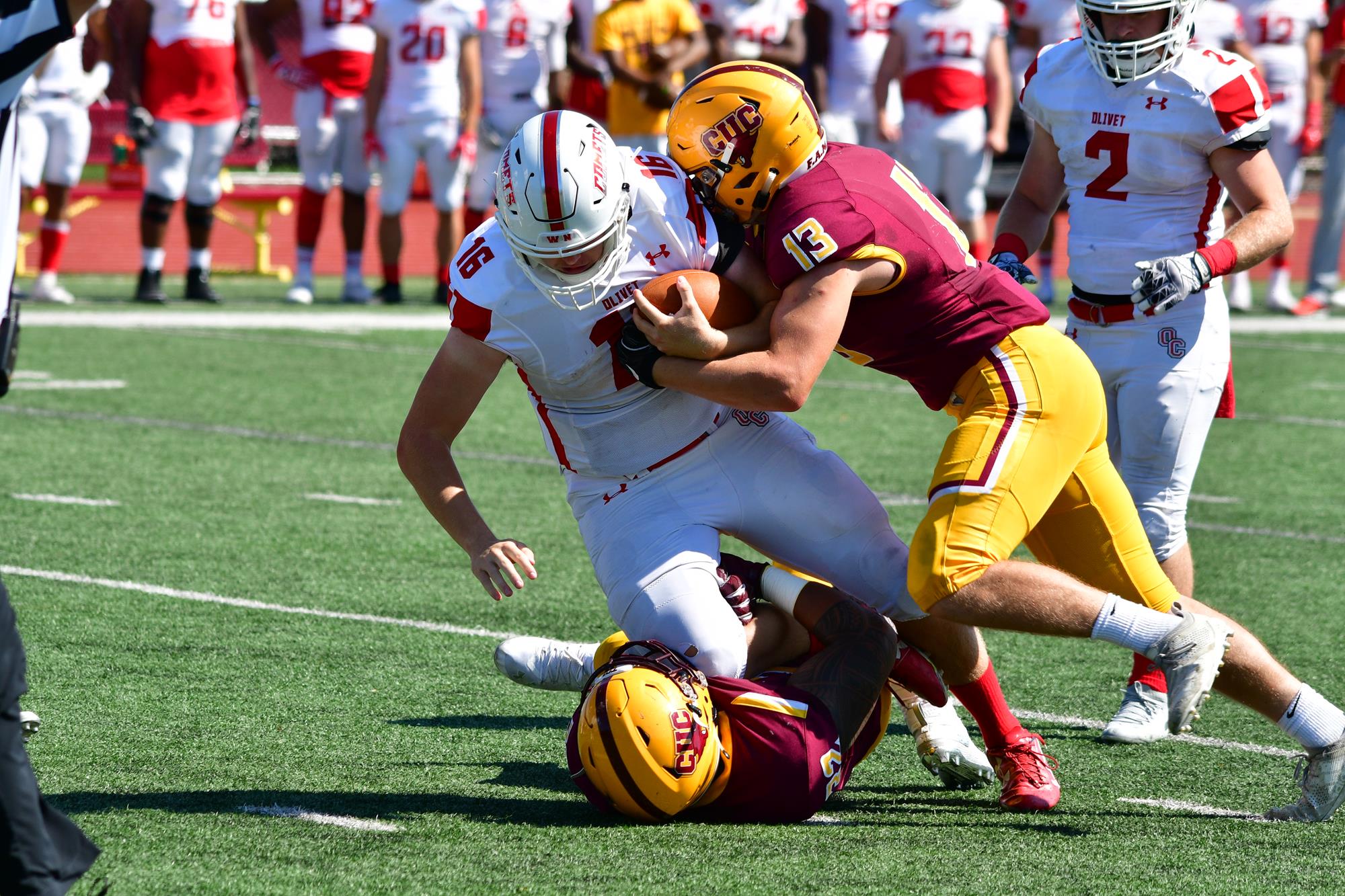 Cougars Prepare for "Heavyweight Fight" at Aurora - Concordia ...