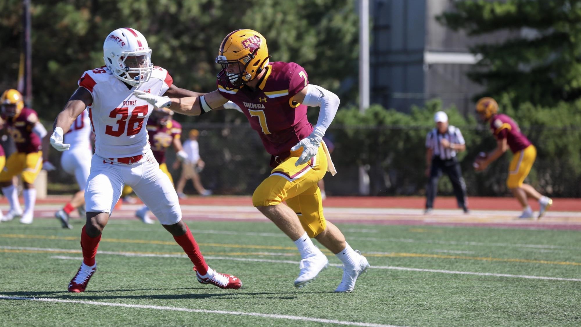 Second-Quarter Mistakes are Source of Cougars' Downfall - Concordia ...