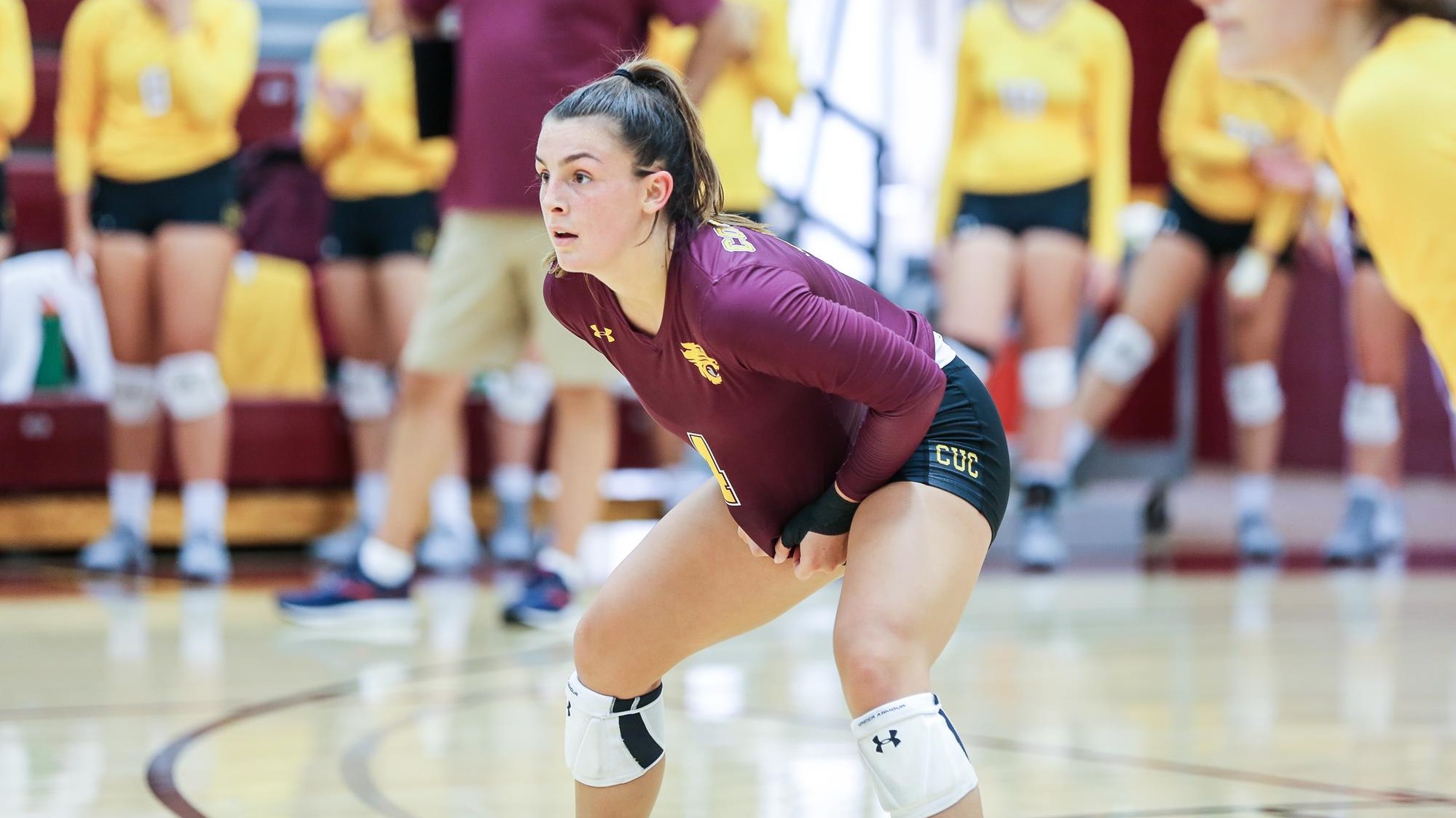 Julia Beers - Women's Volleyball - Concordia University Chicago Athletics