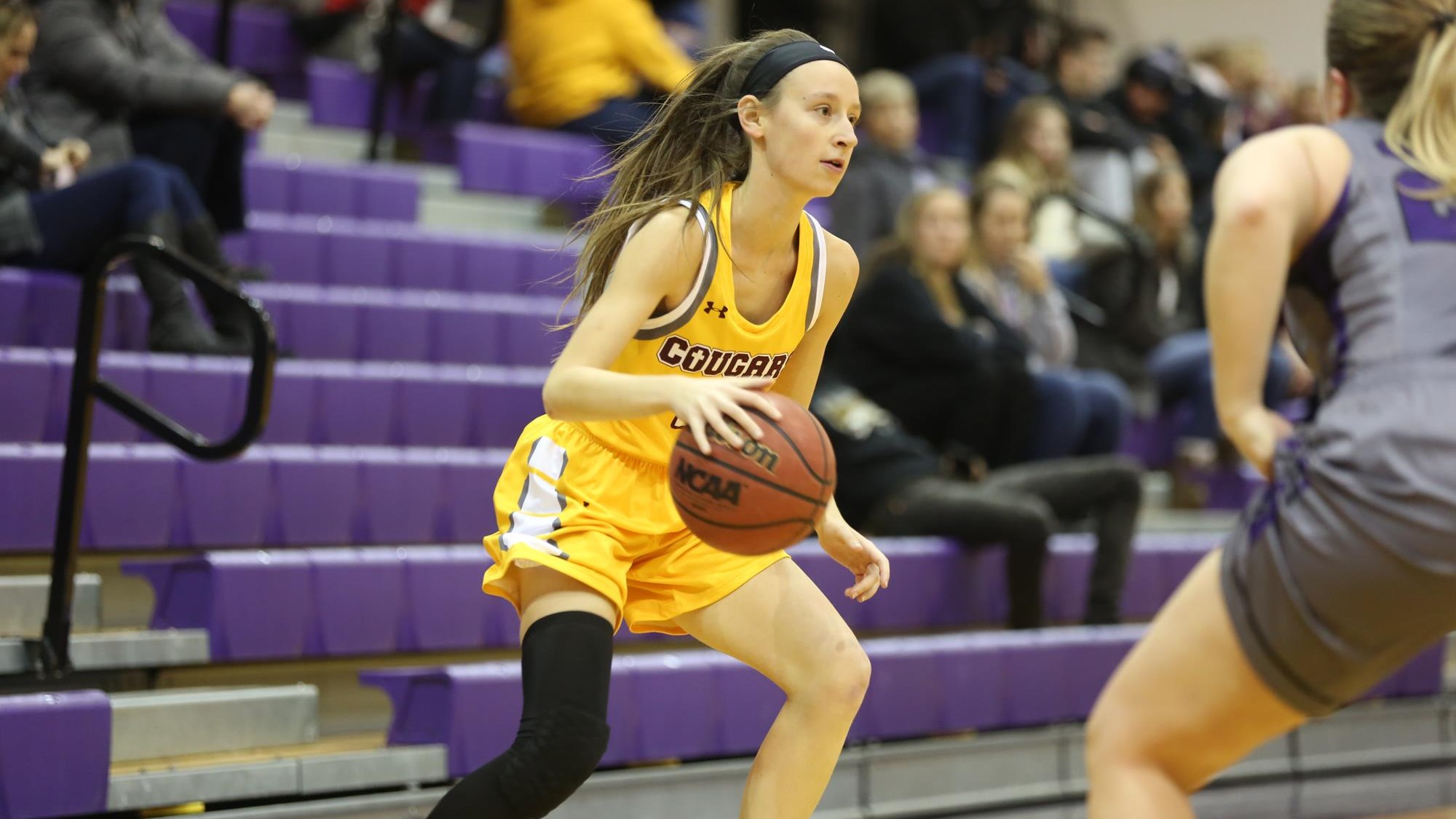 Sarah Ludwig - Women's Basketball - Concordia University Chicago Athletics