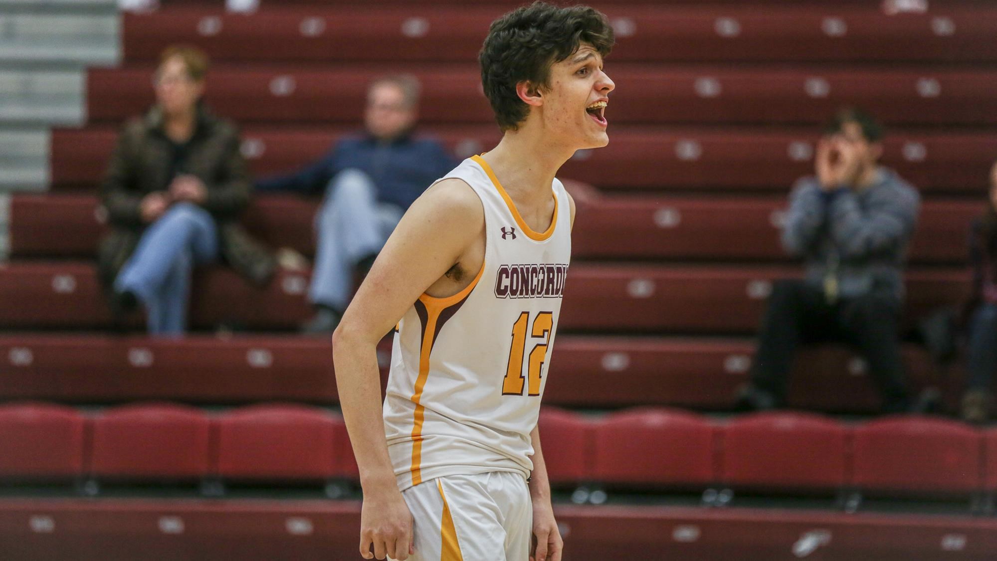 Matthew Geiser - Men's Volleyball - Concordia University Chicago Athletics
