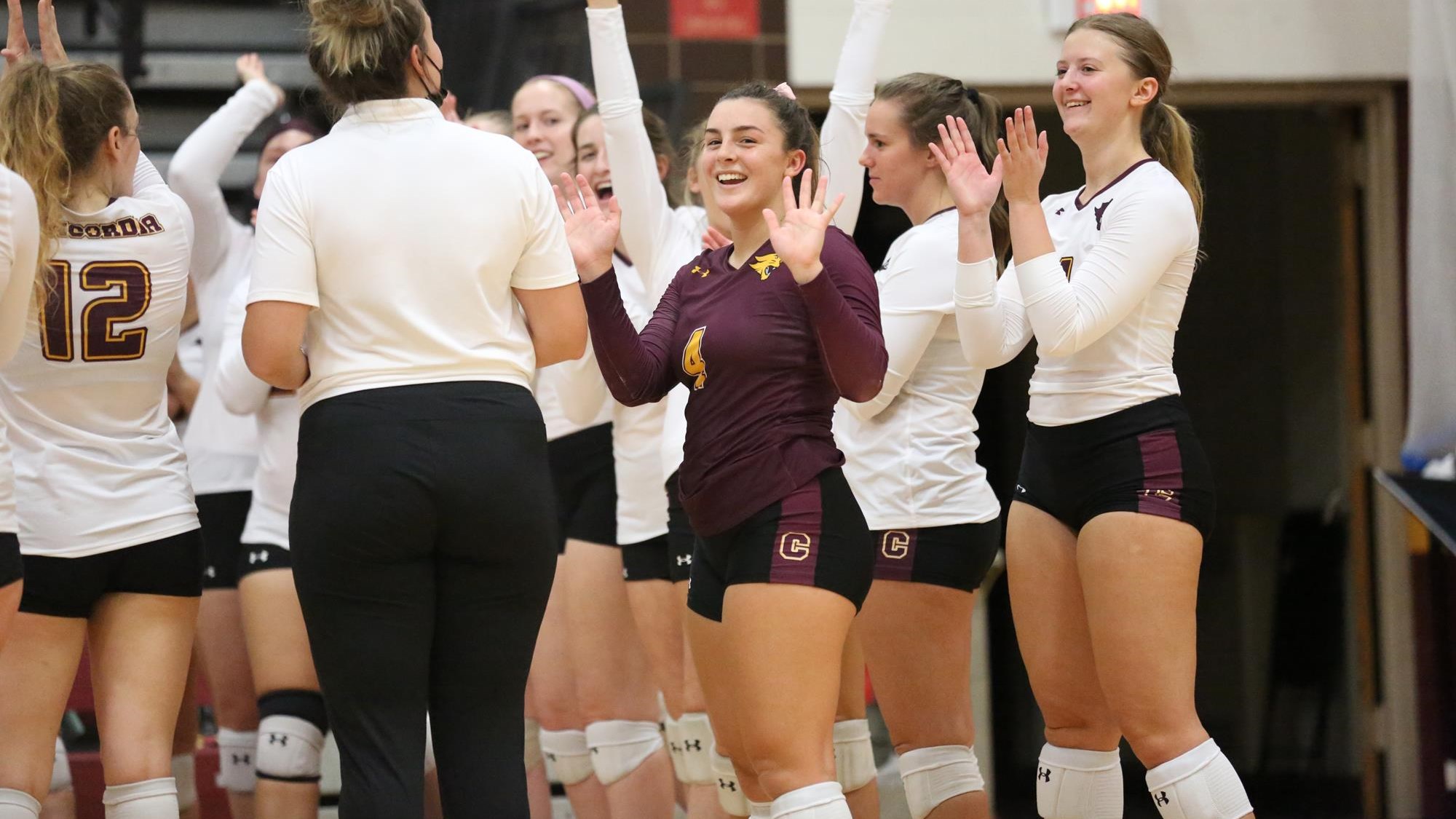 Julia Beers - Women's Volleyball - Concordia University Chicago Athletics