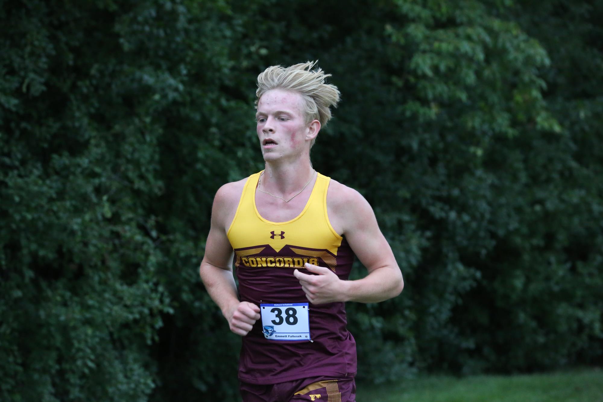 Emmett Faltesek - Men's Cross Country - Concordia University Chicago ...
