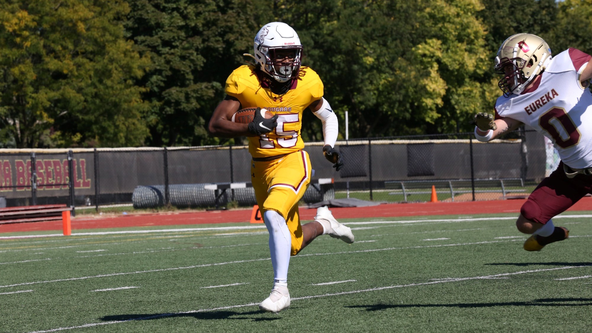 Sykes Earns NACC Player of the Week Honors - Concordia University ...