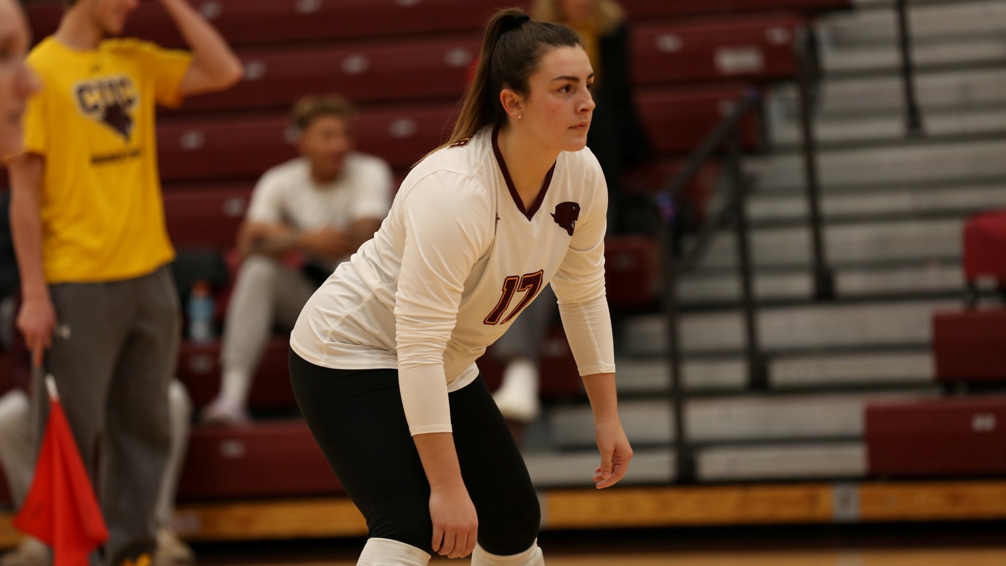Julia Beers - Women's Volleyball - Concordia University Chicago Athletics