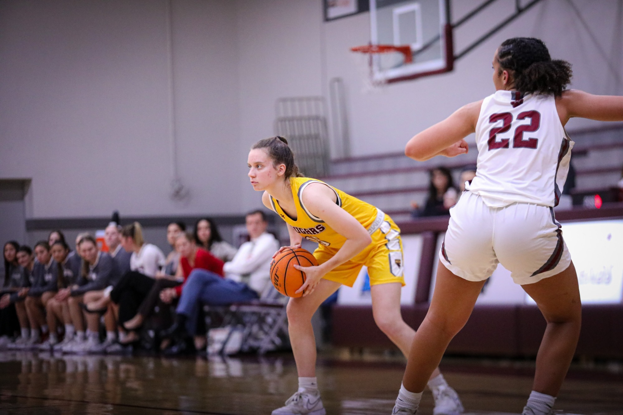 Lela Scott - Women's Basketball - Concordia University Chicago Athletics