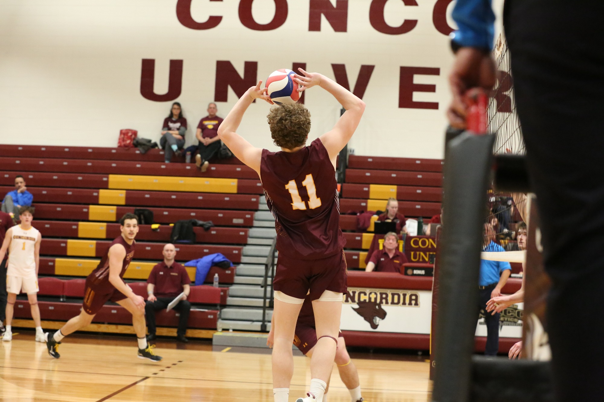 Cougars Drop Two In Aurora Tri-Match - Concordia University Chicago ...
