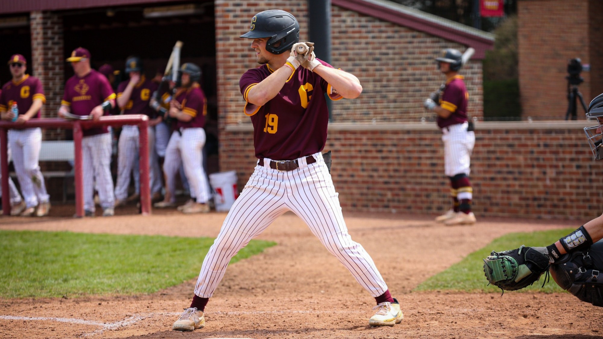 Cougars Complete Sweep Over Falcons - Concordia University Chicago ...