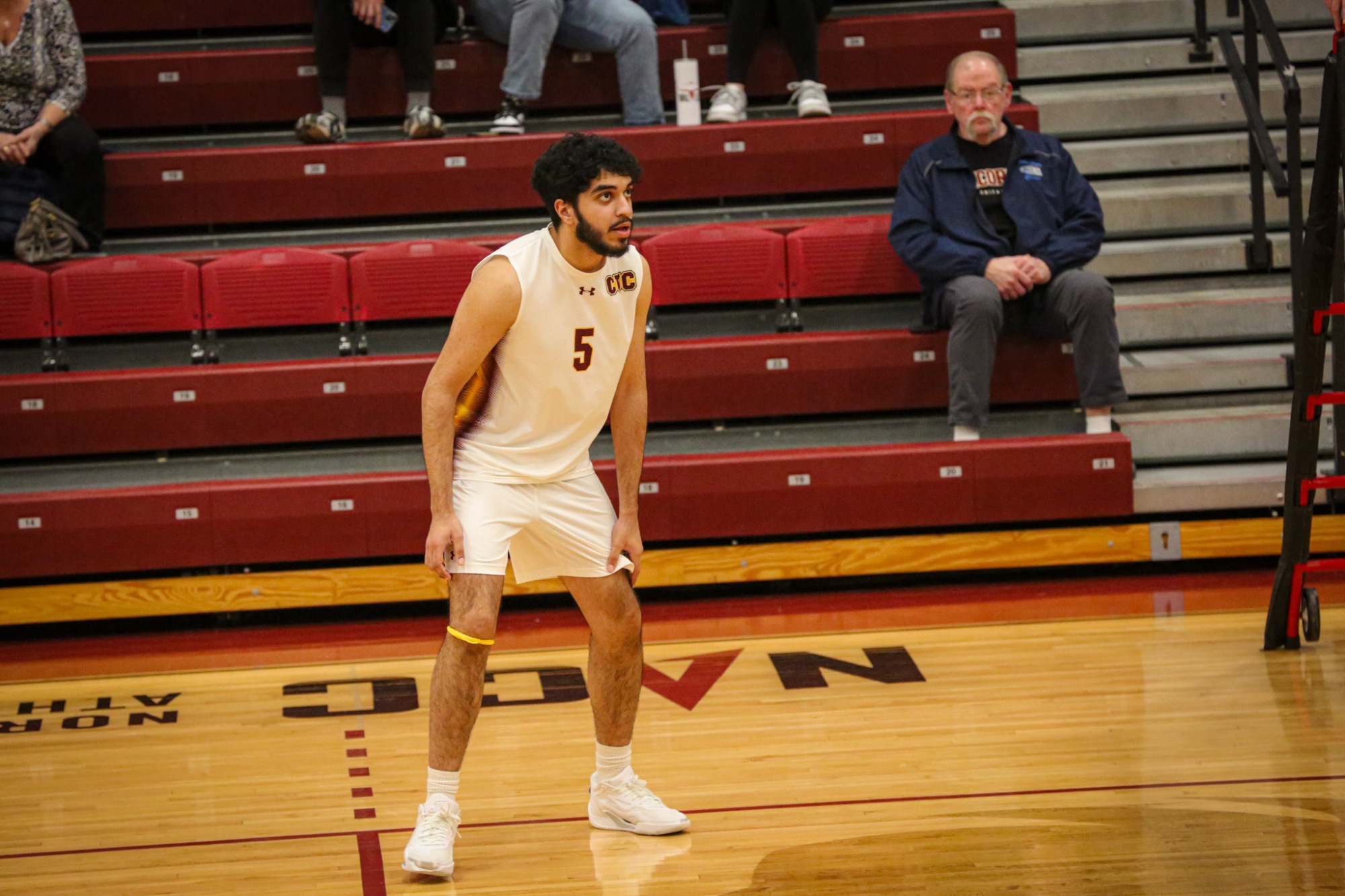 Cougars Can't Swat the Falcons - Concordia University Chicago Athletics