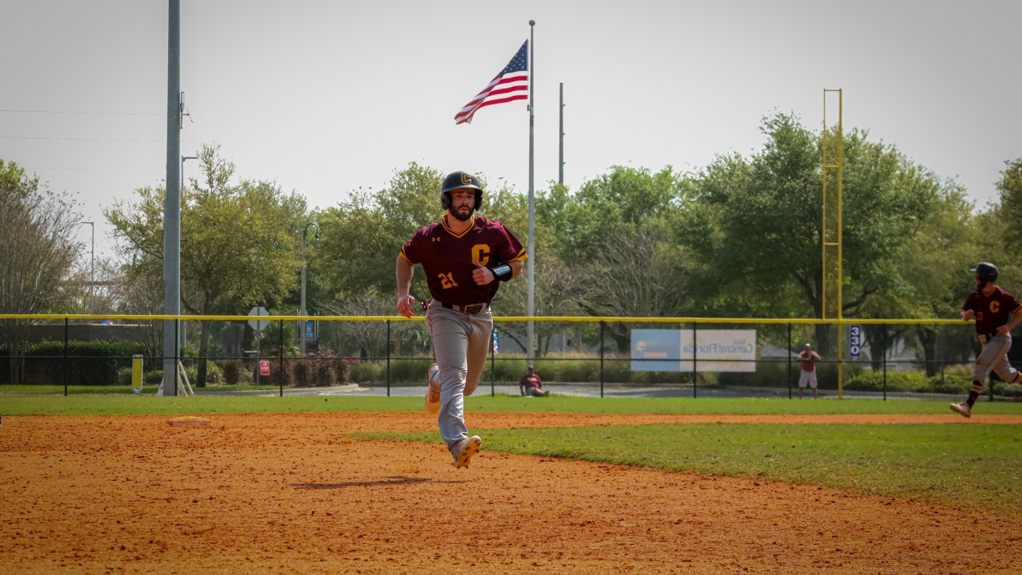 Lions Maul Cougars in Battle of the Big Cats: Florida Edition ...