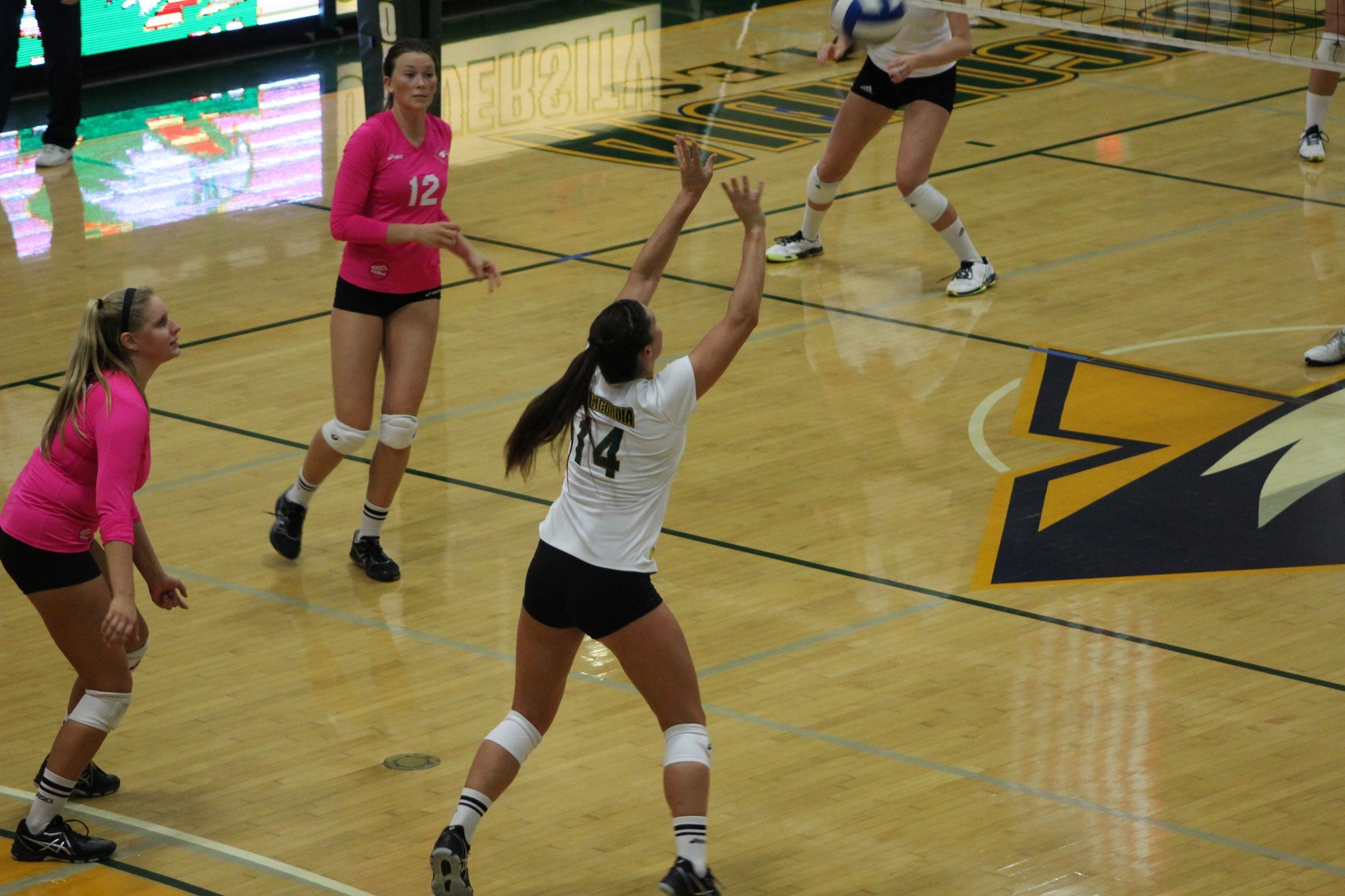 Taylor Dennison - Women's Volleyball - Concordia University Irvine ...