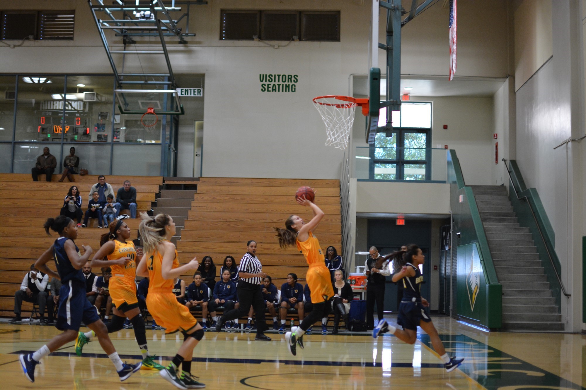 Ashley Earles - Women's Basketball - Concordia University Irvine Athletics