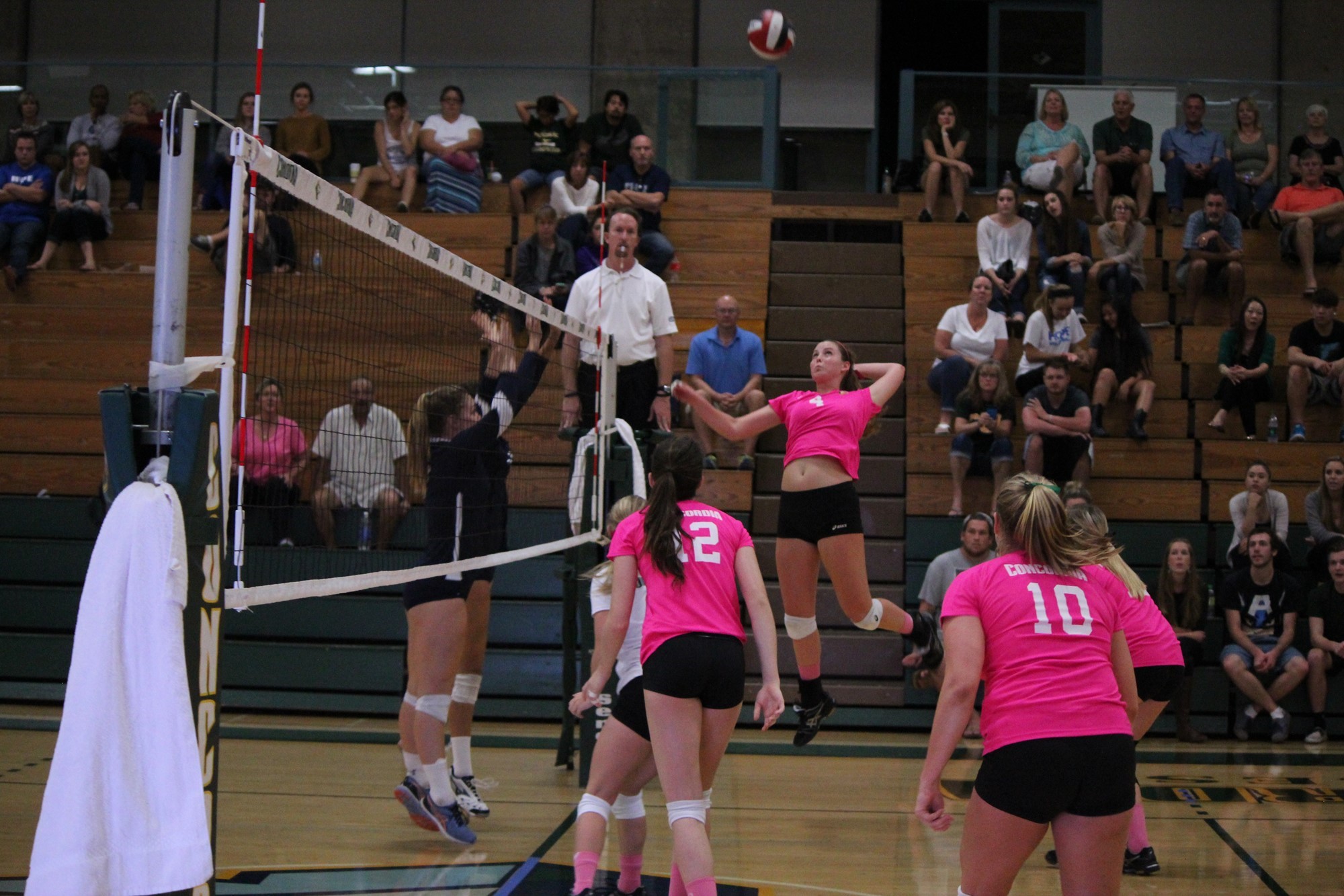 Hailey Gaines - Women's Volleyball - Concordia University Irvine Athletics