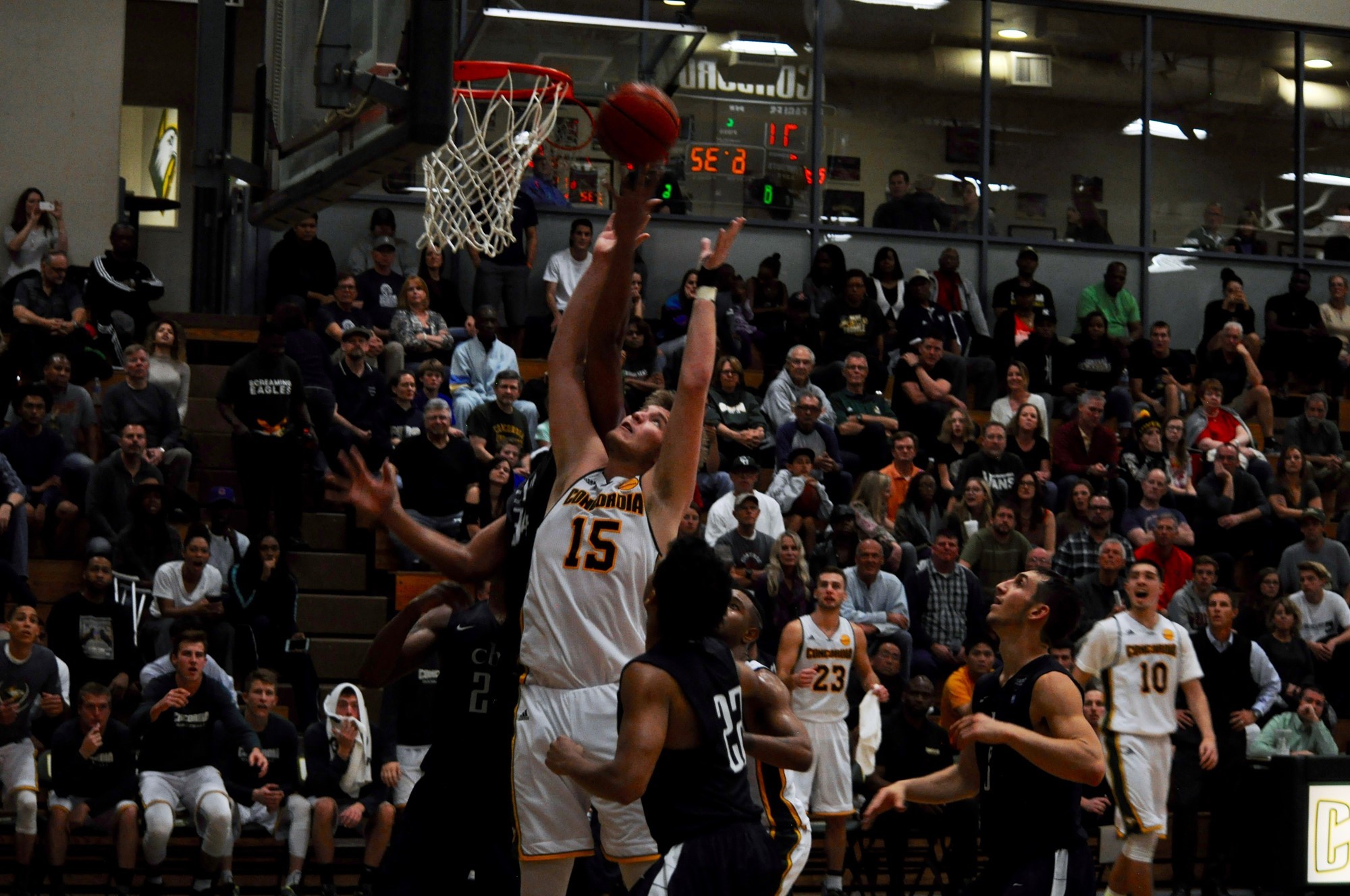 Geoff Gerlach - Men's Basketball - Concordia University Irvine Athletics