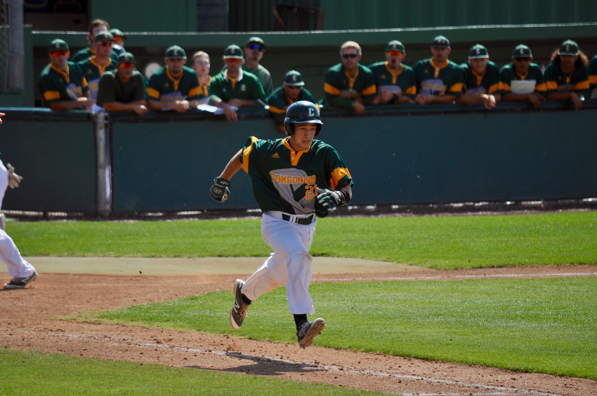 Luke Van Holten - Baseball - Concordia University Irvine Athletics