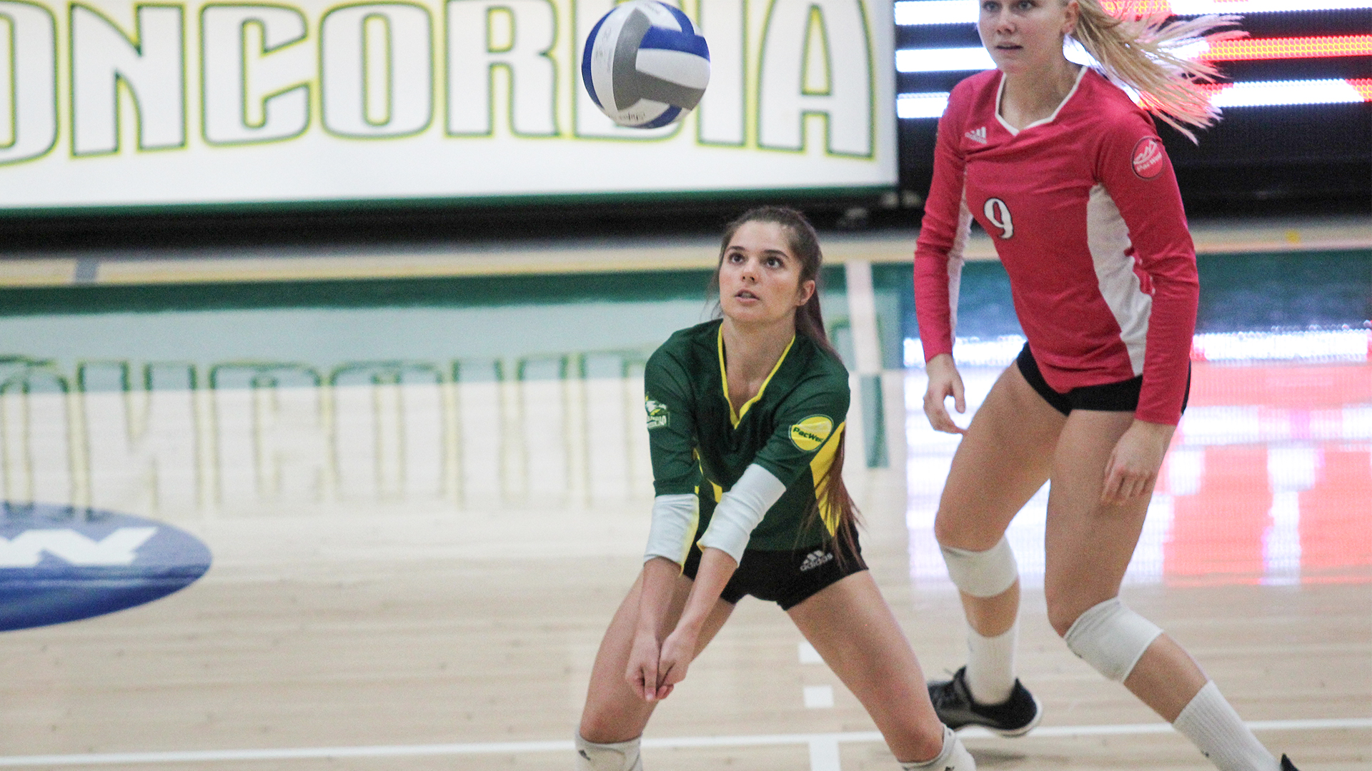 Clarice Buchanan - Women's Volleyball - Concordia University Irvine ...