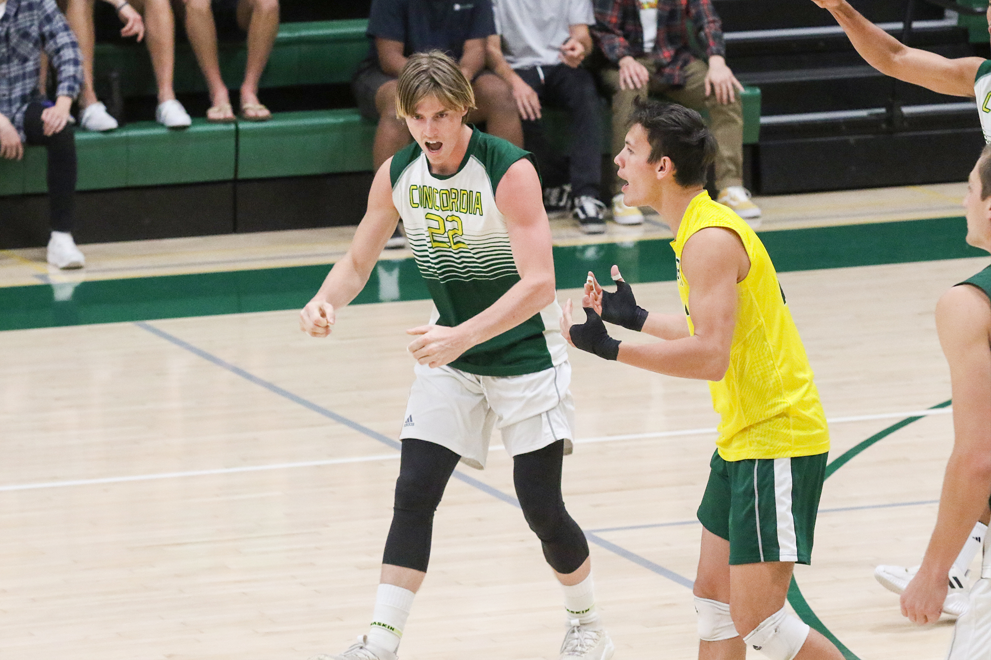 Addison Enriques - Men's Volleyball - Concordia University Irvine Athletics