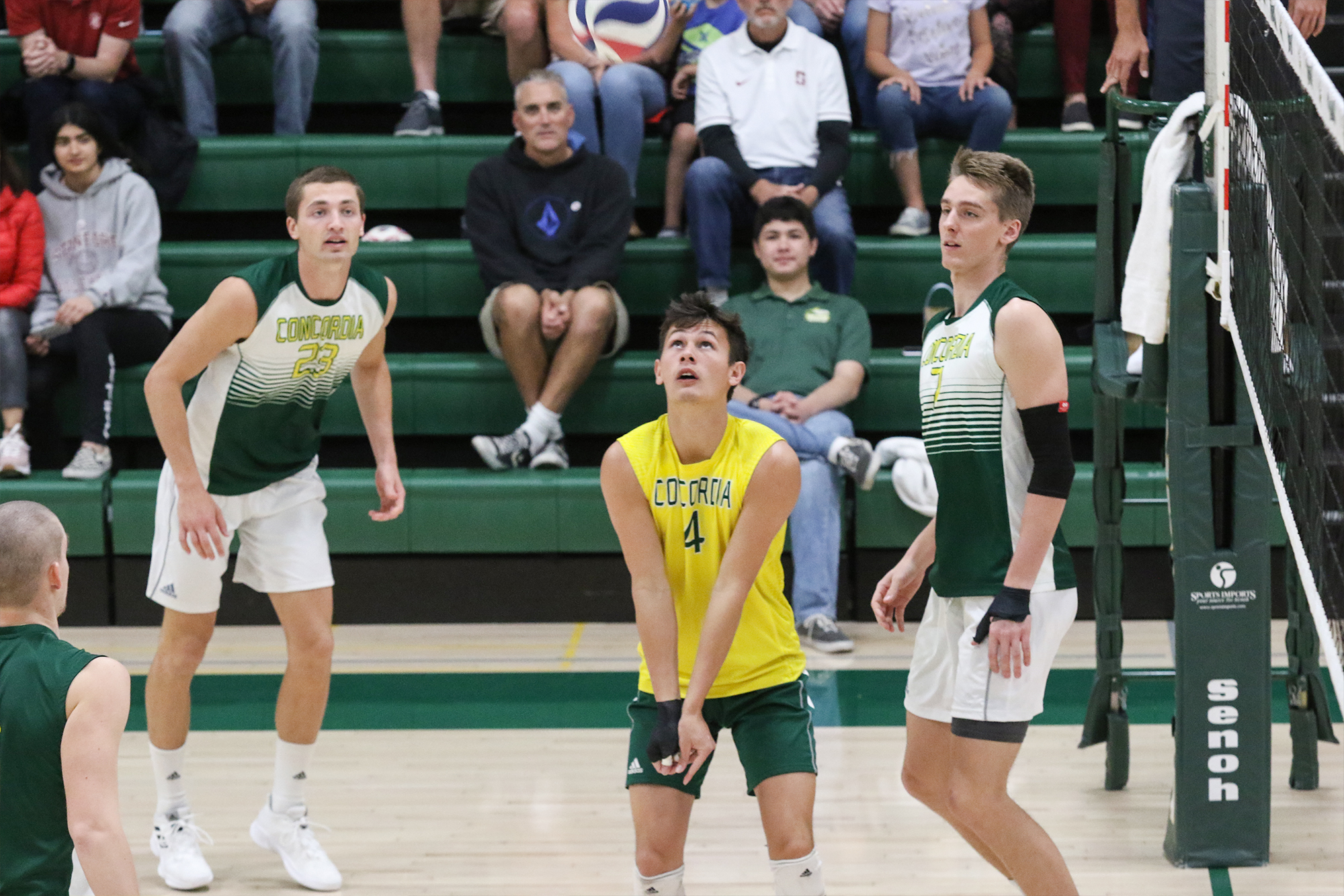 Addison Enriques - Men's Volleyball - Concordia University Irvine Athletics