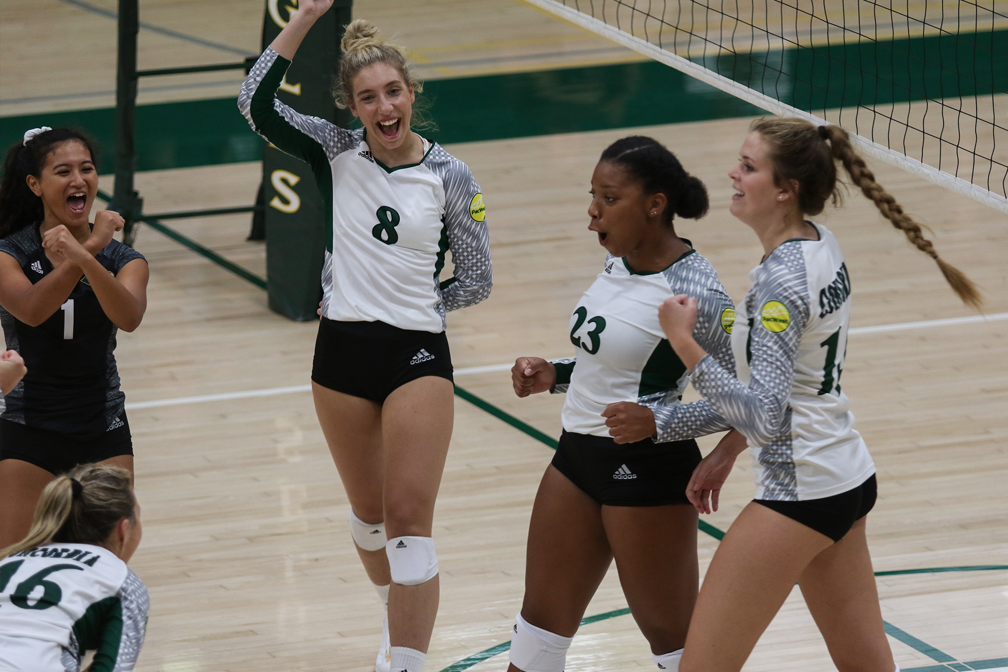 Renae Ross - Women's Volleyball - Concordia University Irvine Athletics