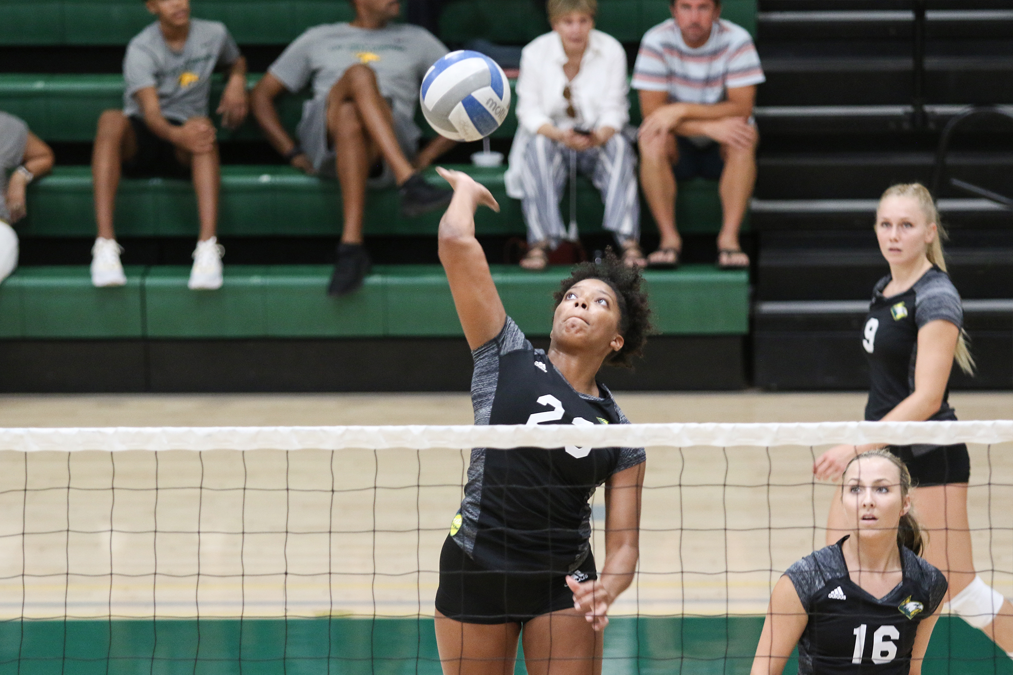 Renae Ross - Women's Volleyball - Concordia University Irvine Athletics