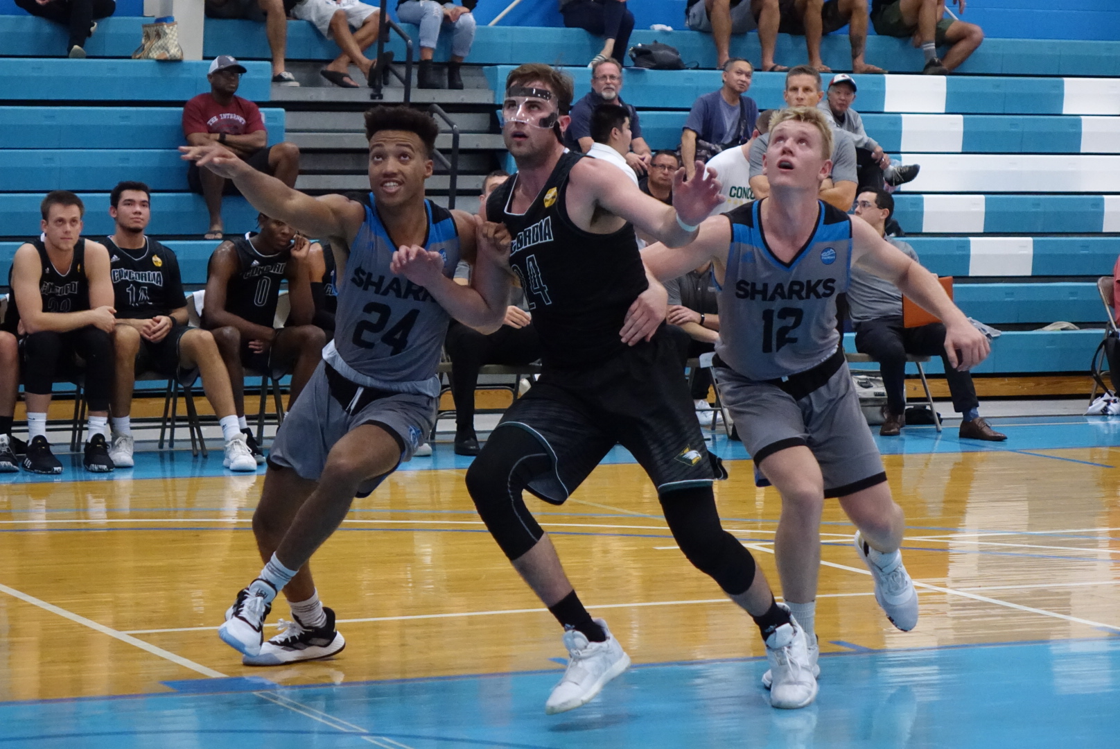 Cameron English - Men's Basketball - Concordia University Irvine Athletics