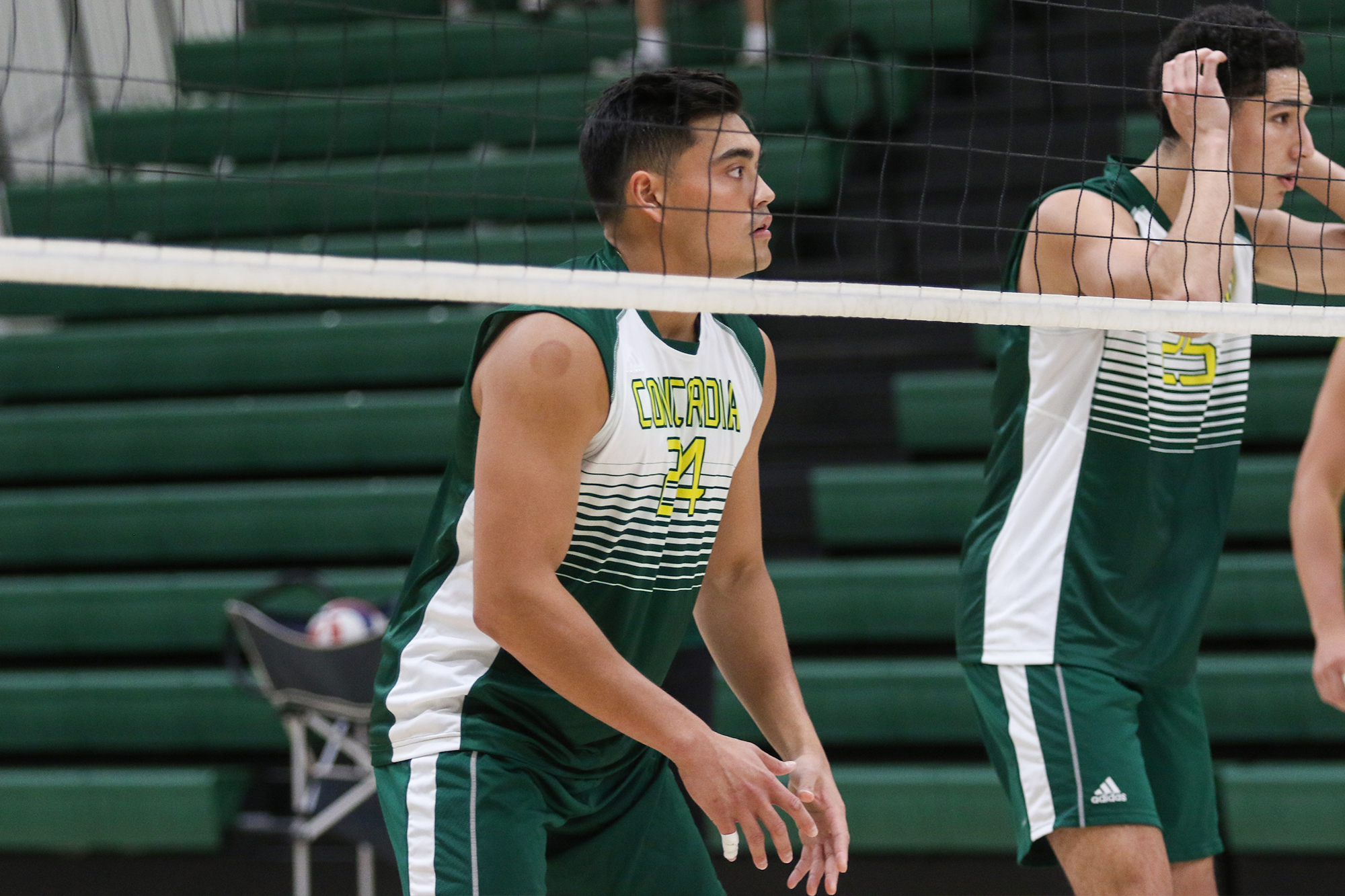 Noah Taitano - Men's Volleyball - Concordia University Irvine Athletics
