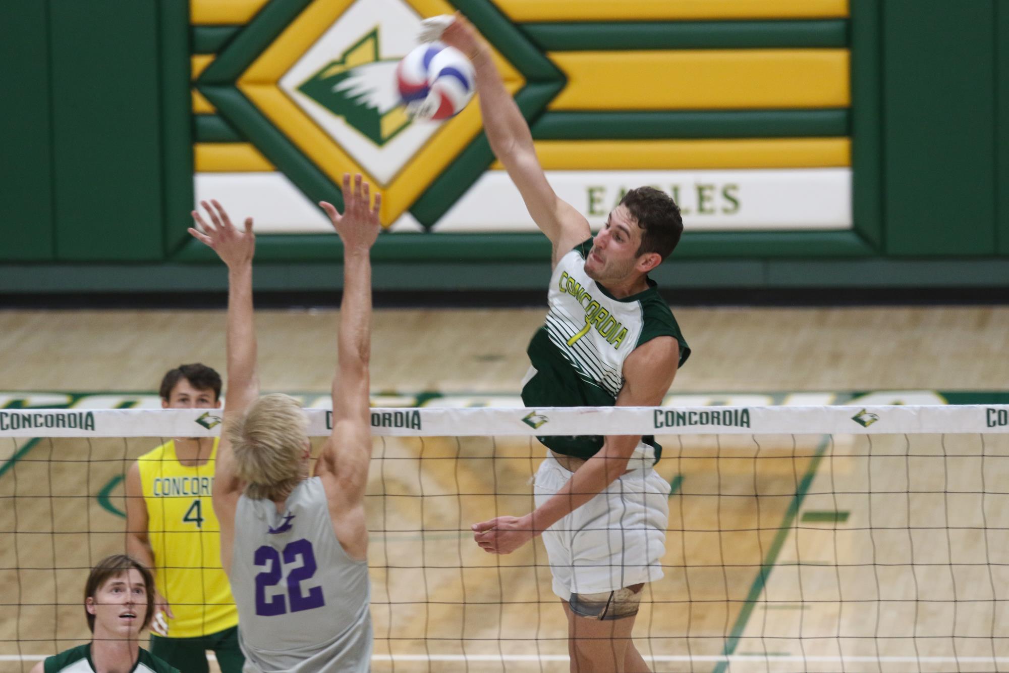 Raymond Barsemian - Men's Volleyball - Concordia University Irvine ...