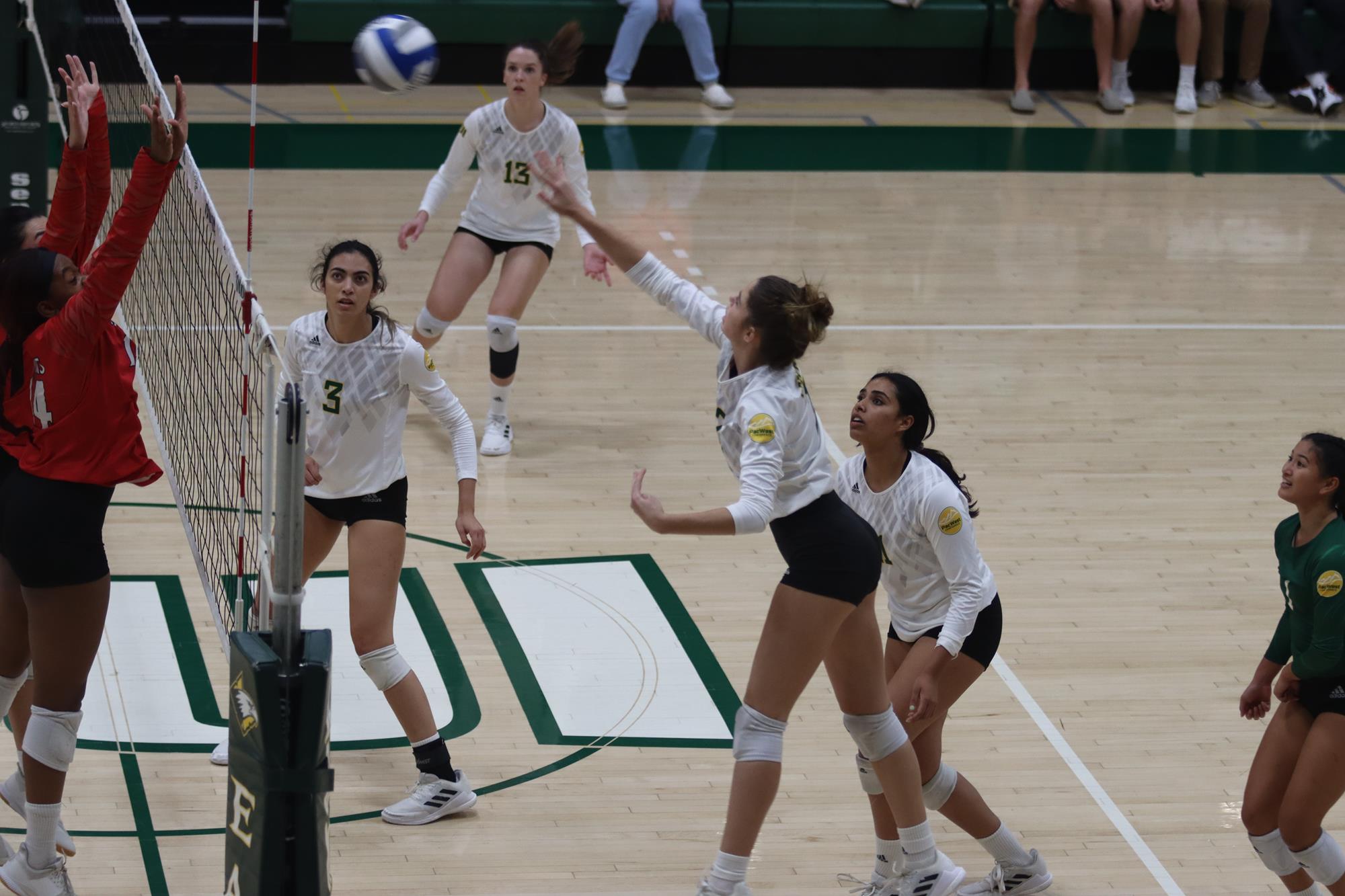 Danielle McCasland - Women's Volleyball - Concordia University Irvine ...
