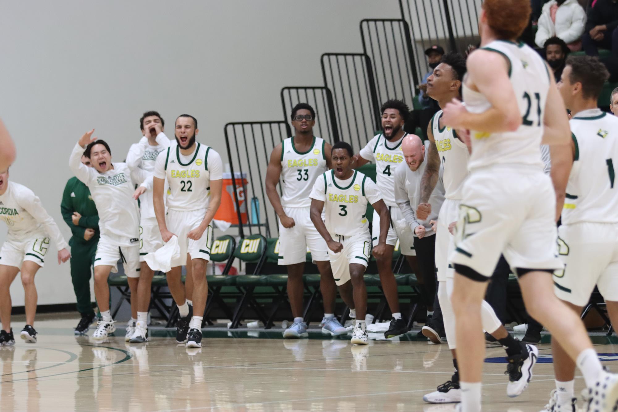 Matthew Brookins - Men's Basketball - Concordia University Irvine Athletics
